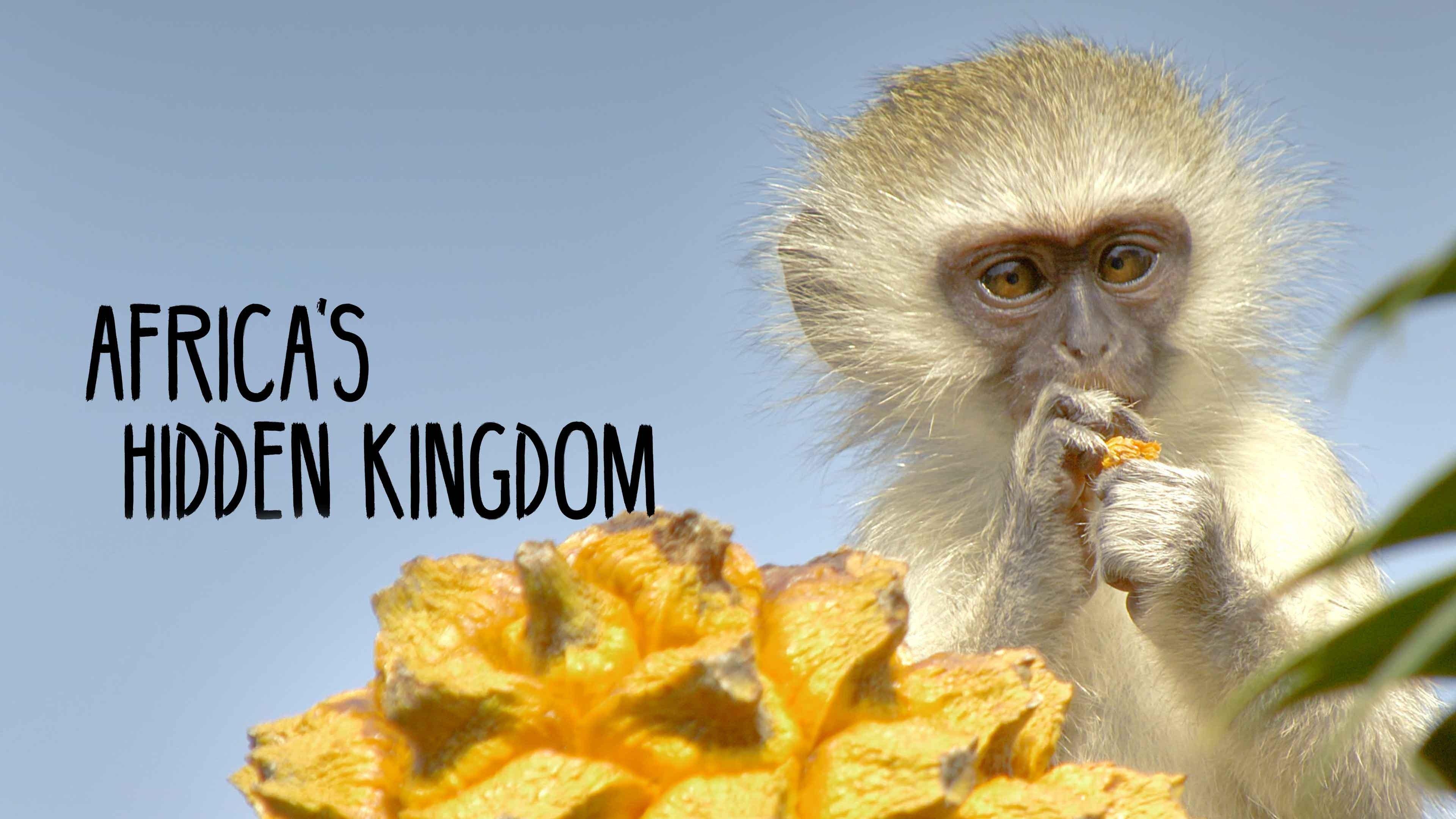 Watch Africa's Hidden Kingdoms Streaming Online on Philo (Free Trial)