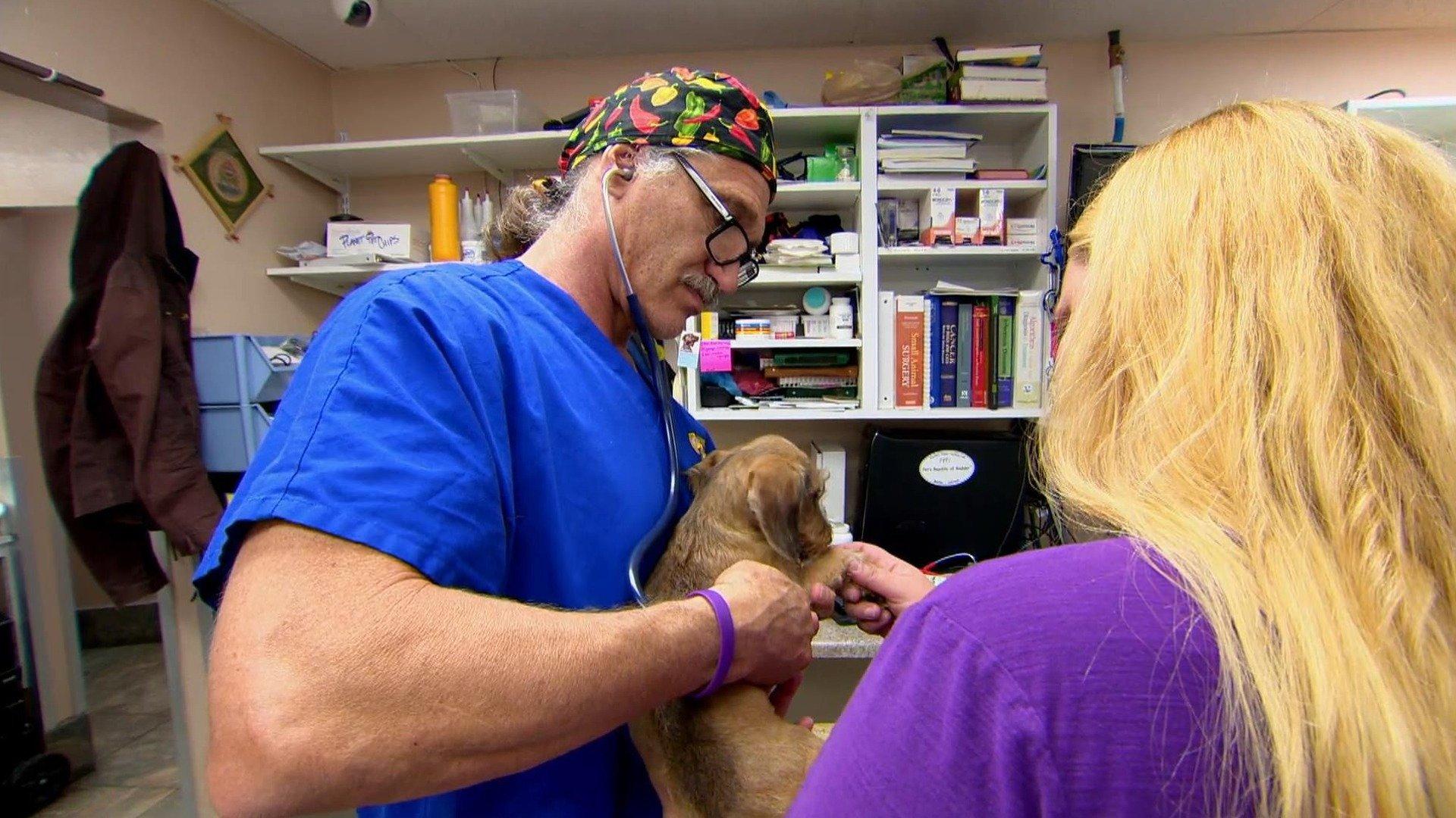 Watch Dr. Jeff: Rocky Mountain Vet: S2E3 - Saved by the Sky on Philo ...