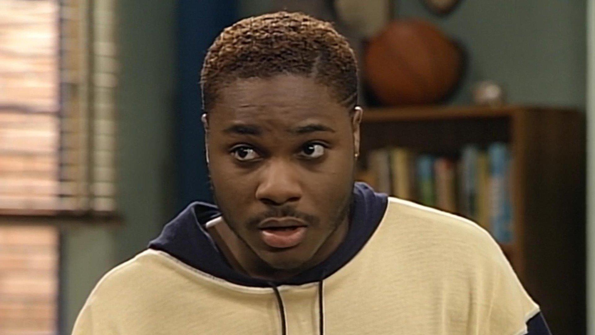 The Cosby Show: Theo and the Kids