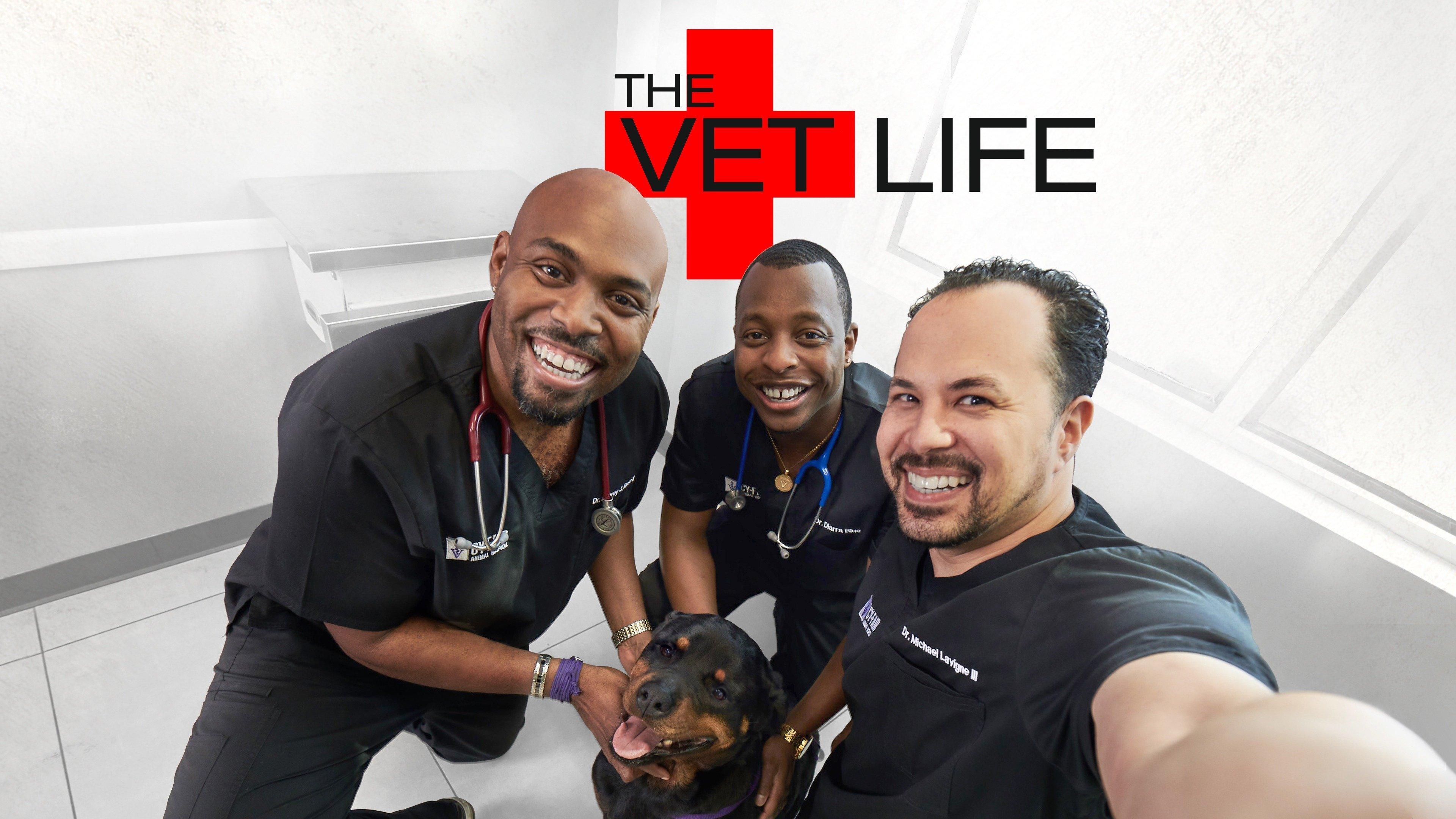 Watch The Vet Life Streaming Online on Philo (Free Trial)