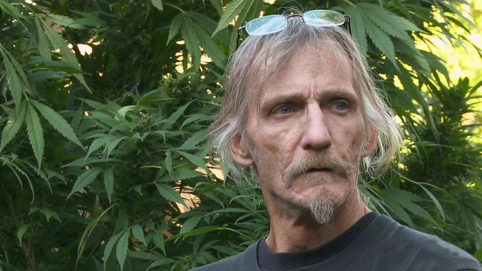 North Woods Law Weed It And Reap north-woods-law-weed-it-and-reap