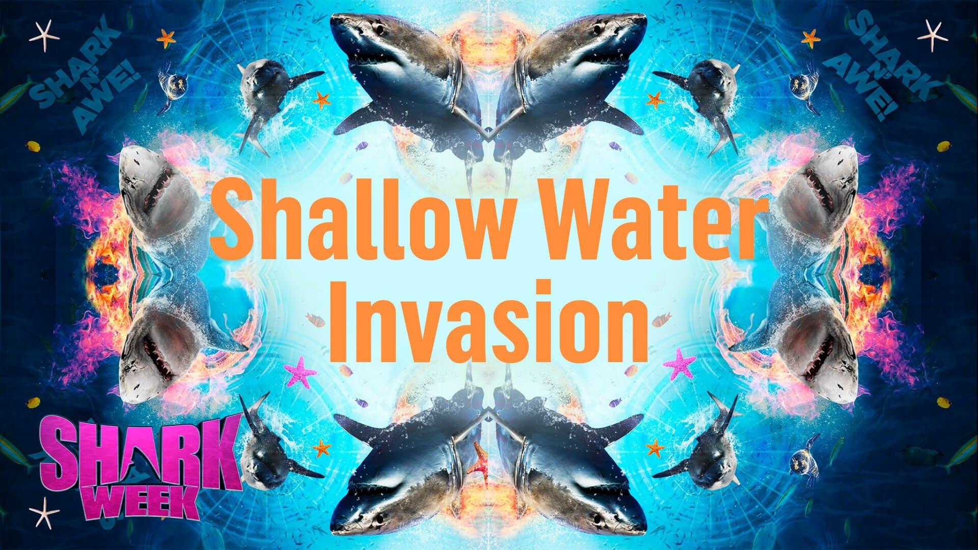 Watch Shallow Water Invasion Streaming Online on Philo (Free Trial)