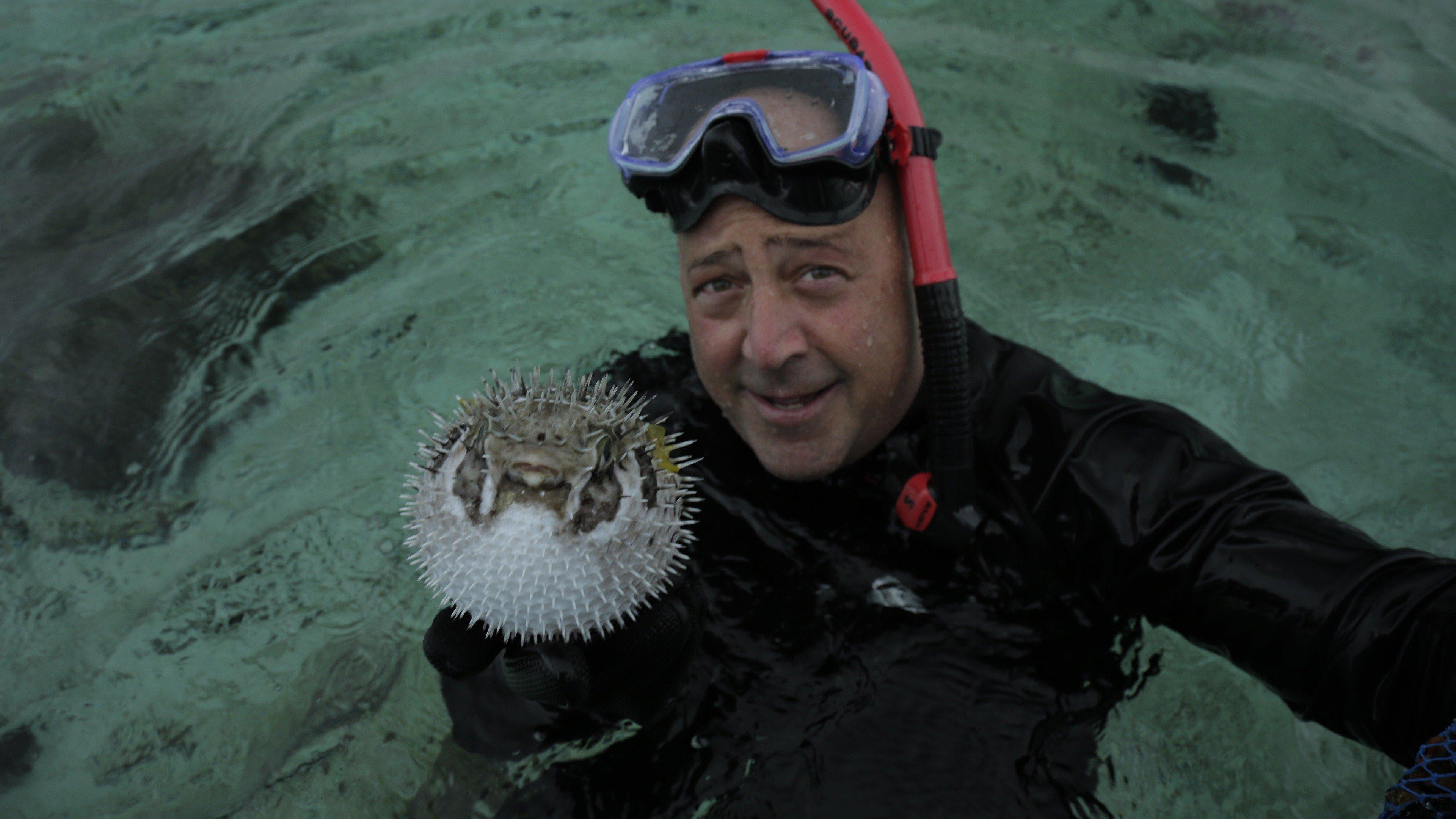 Watch Bizarre Foods With Andrew Zimmern: S8E5 - Okinawa on Philo (Free ...