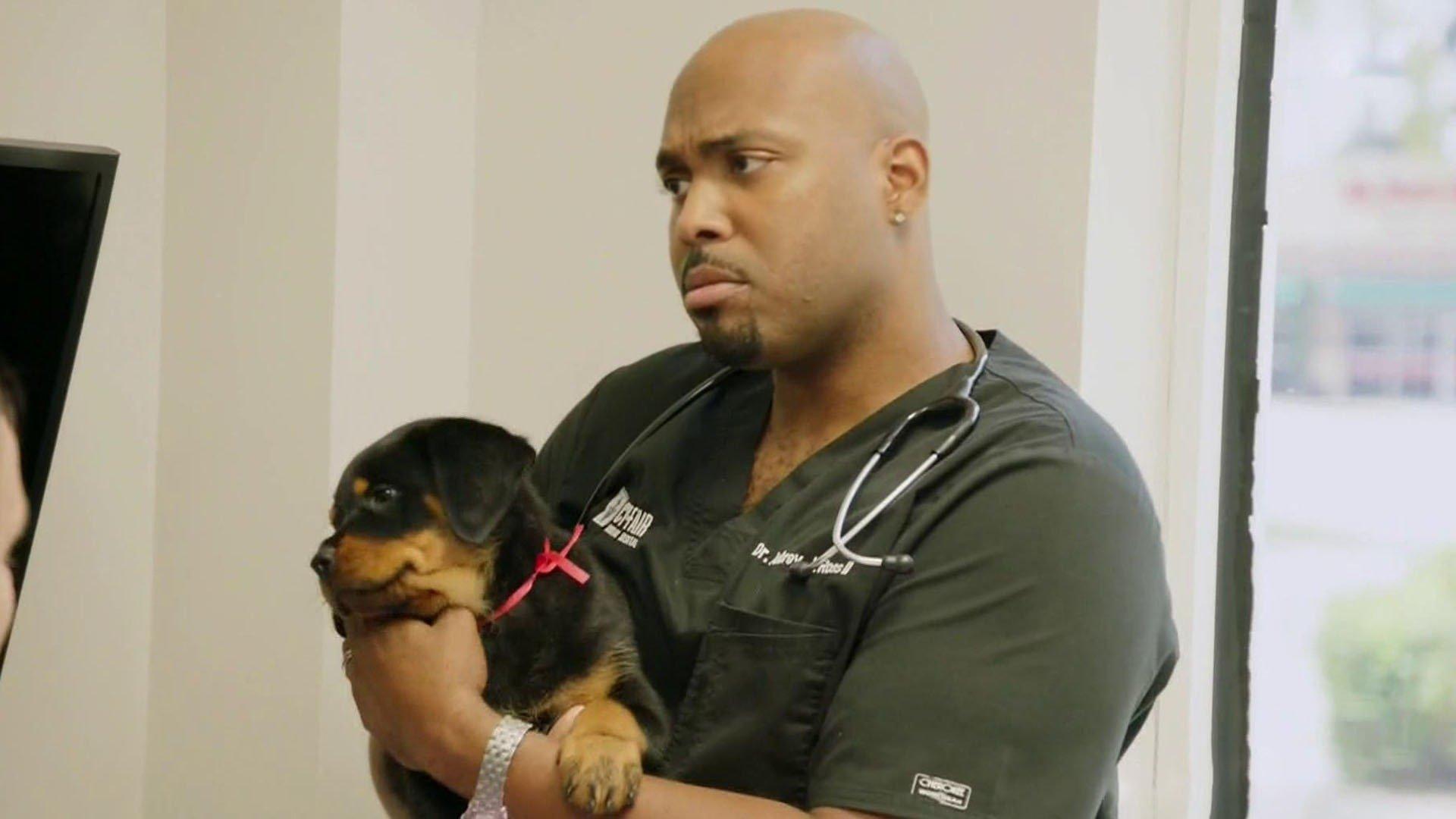 The Vet Life: Training Day