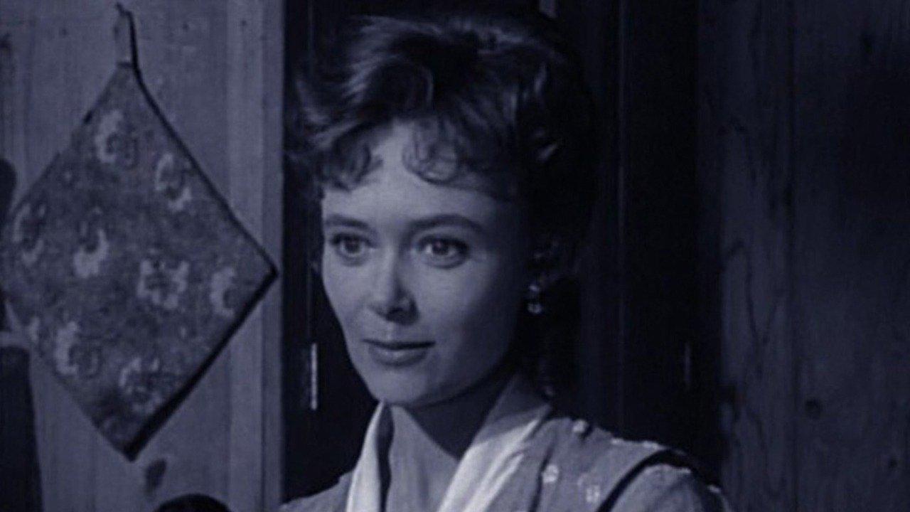 The Rifleman: The Visitor