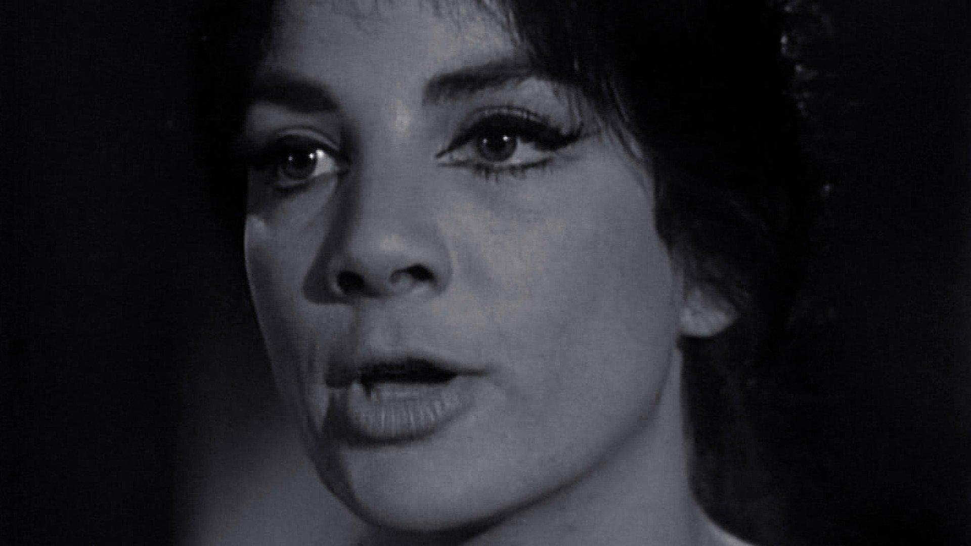 The Rifleman: The Vaqueros