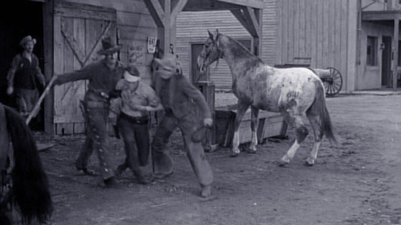 The Rifleman: Outlaw Shoes