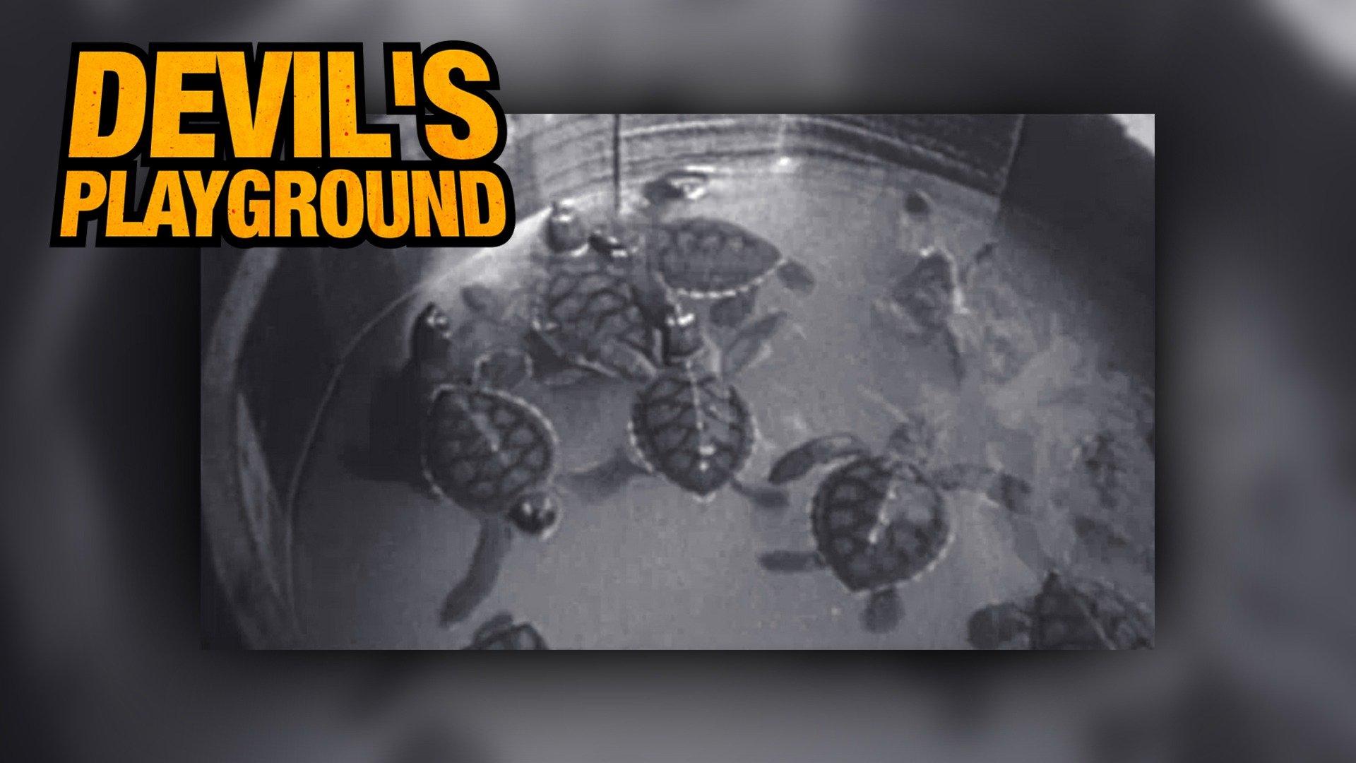 Watch Devil's Playground Streaming Online on Philo (Free Trial)