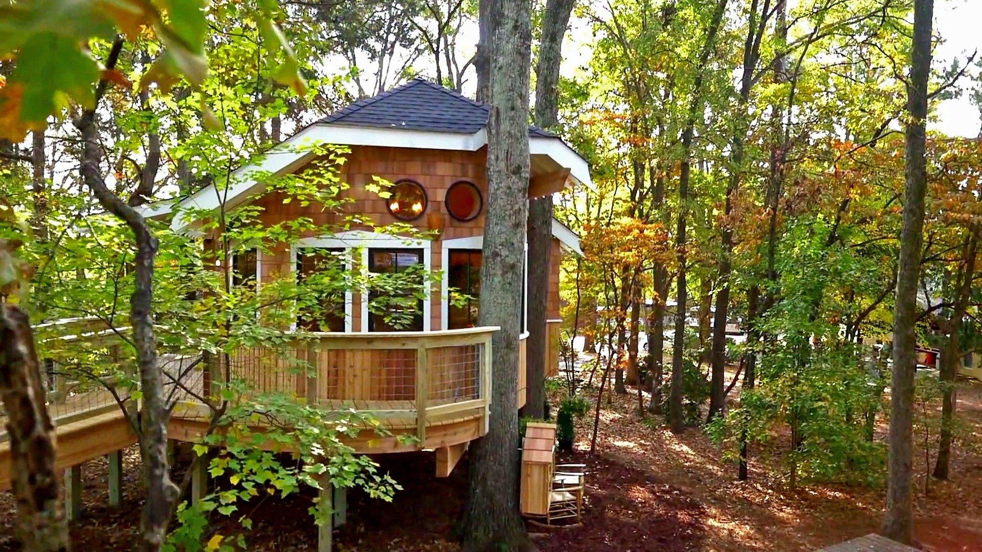 Watch Treehouse Masters: S8E5 - The Owl Treehouse on Philo (Free Trial)