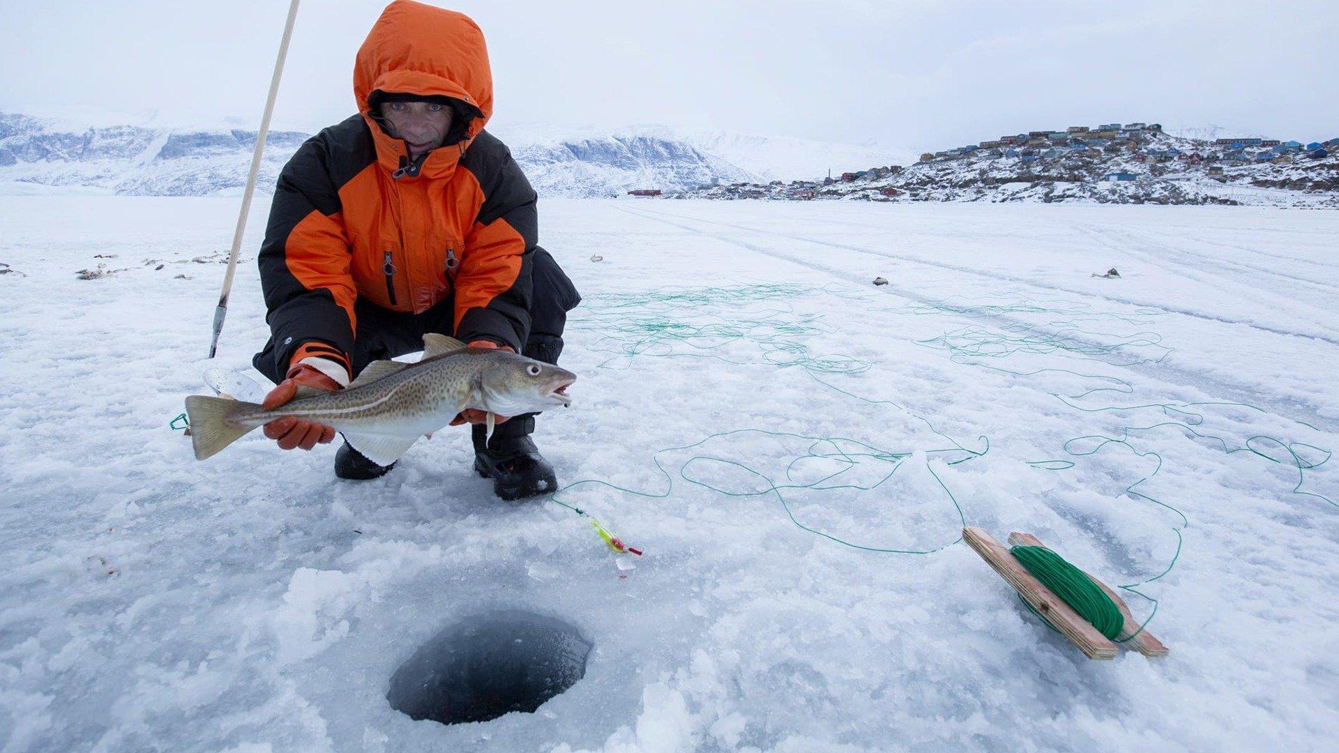 River Monsters: Ice Cold Killer