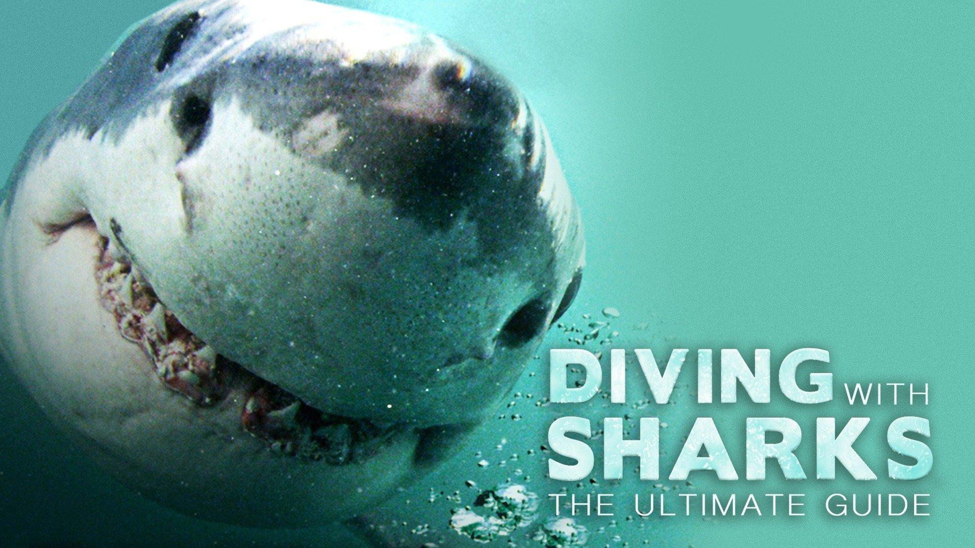 Watch Diving With Sharks: The Ultimate Guide Streaming Online on Philo ...