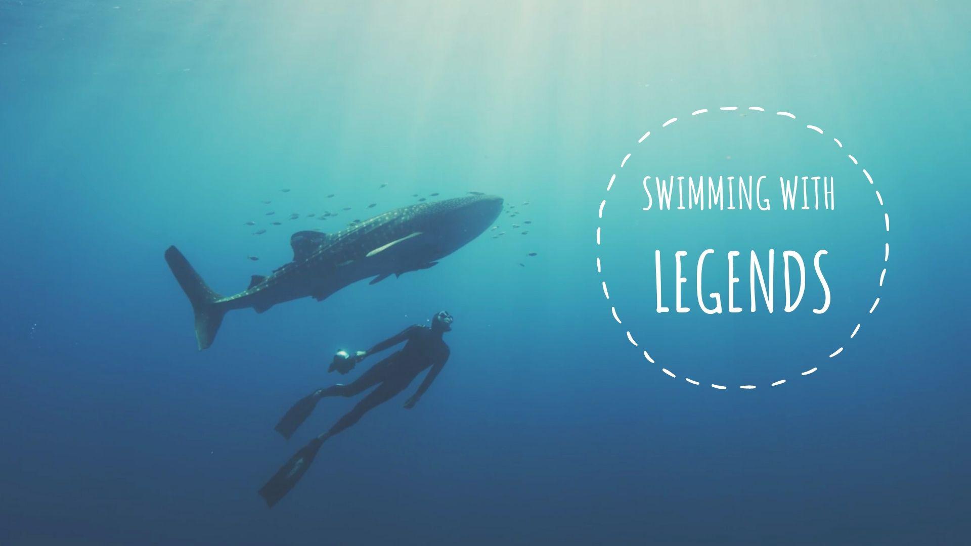 Watch Swimming With Legends Streaming Online on Philo (Free Trial)