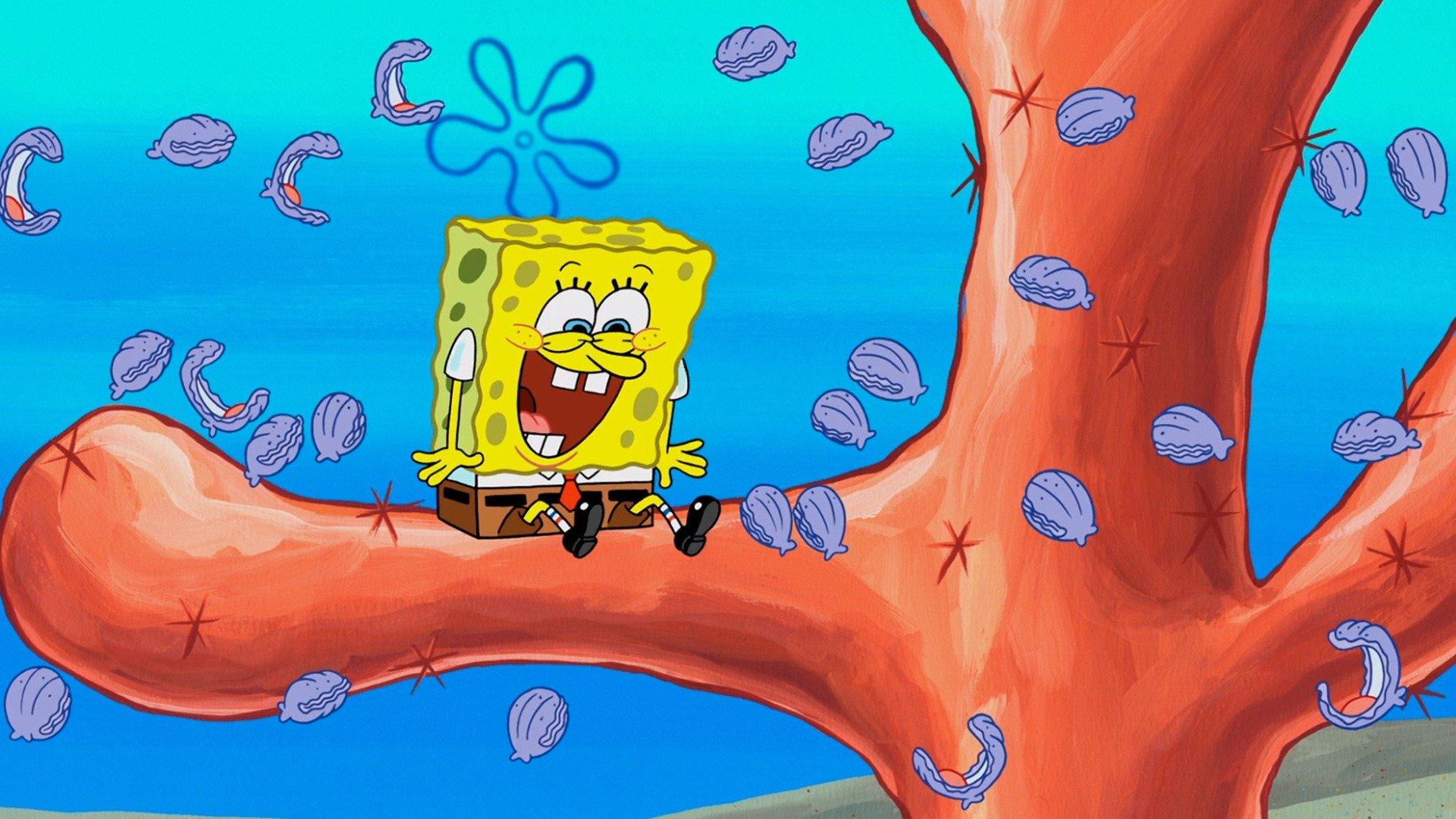 SpongeBob SquarePants: Cave Dwelling Sponge; The Clam Whisperer