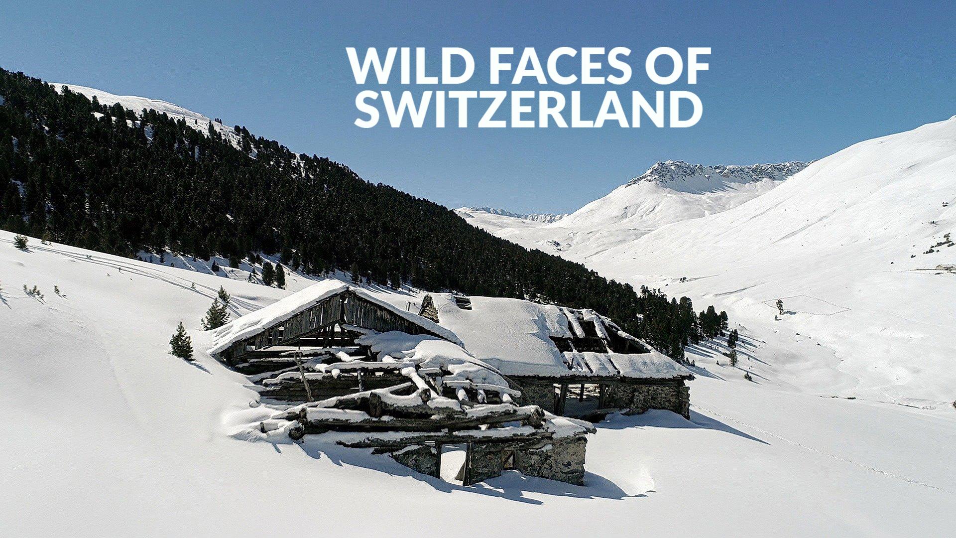 Watch Wild Faces of Switzerland Streaming Online on Philo (Free Trial)