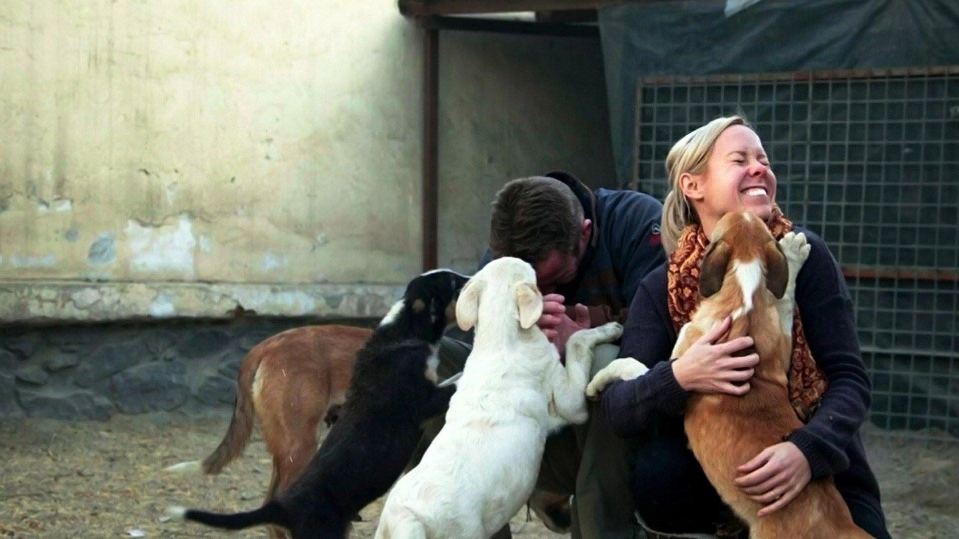 Dodo Heroes: Pen and the Dogs of War