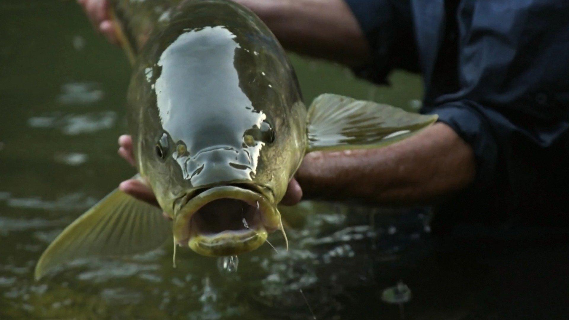 Jeremy Wade's Mighty Rivers: The Ganges
