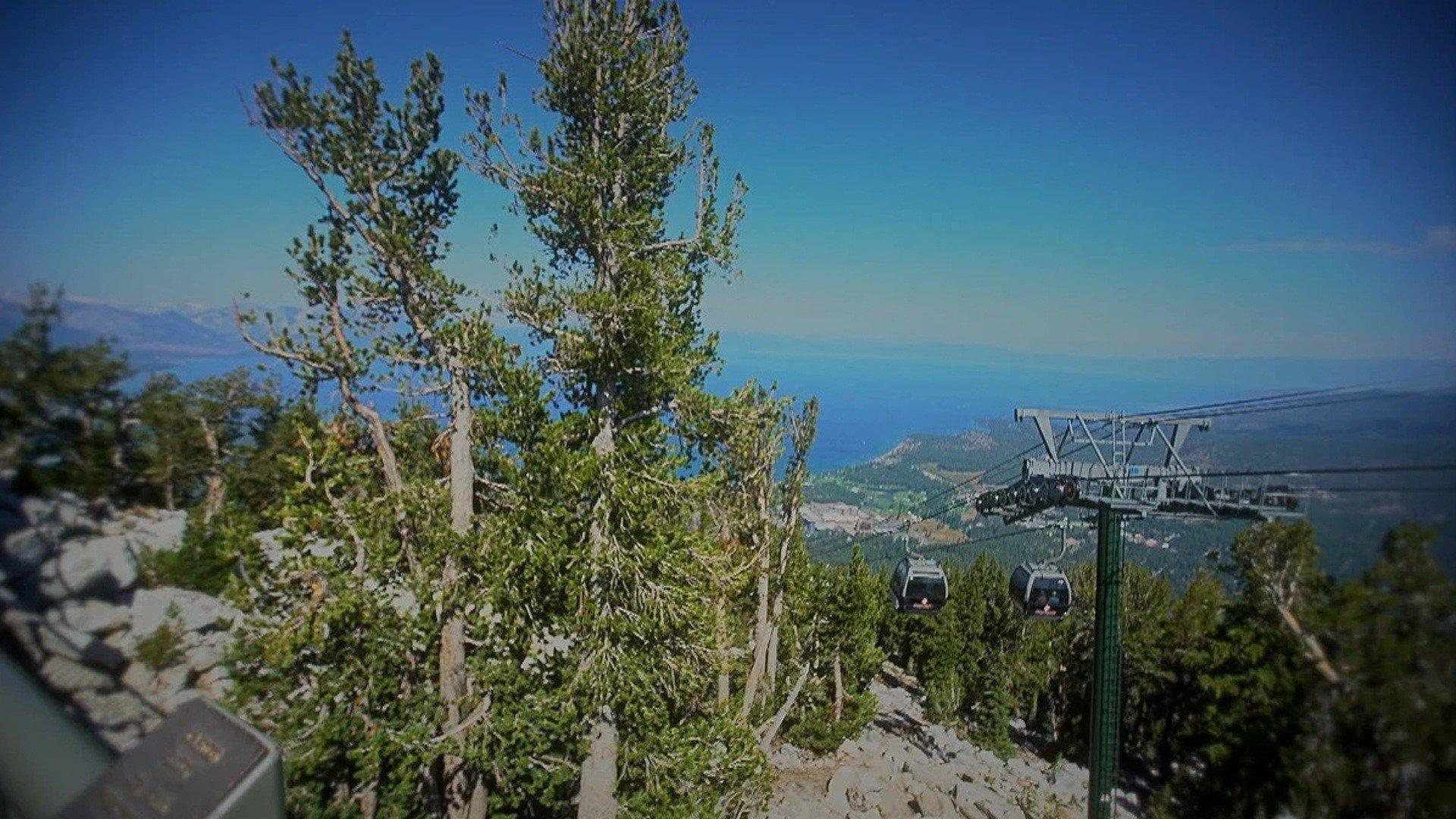 Watch Rock & Roll Road Trip With Sammy Hagar: S3E2 - Lake TaWho on ...