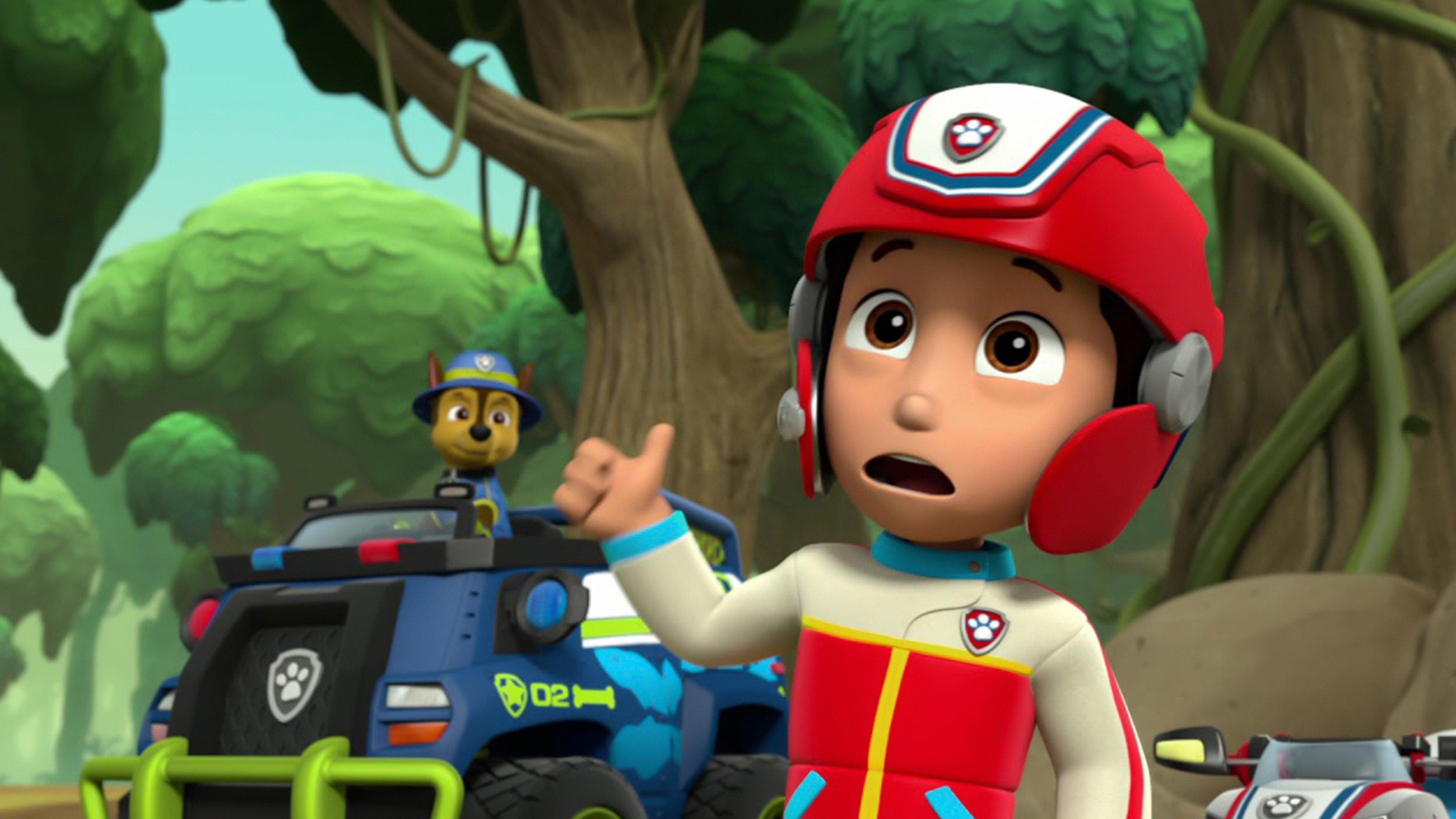 PAW Patrol: Pups Save the PawPaws; Pups Save a Popped Top