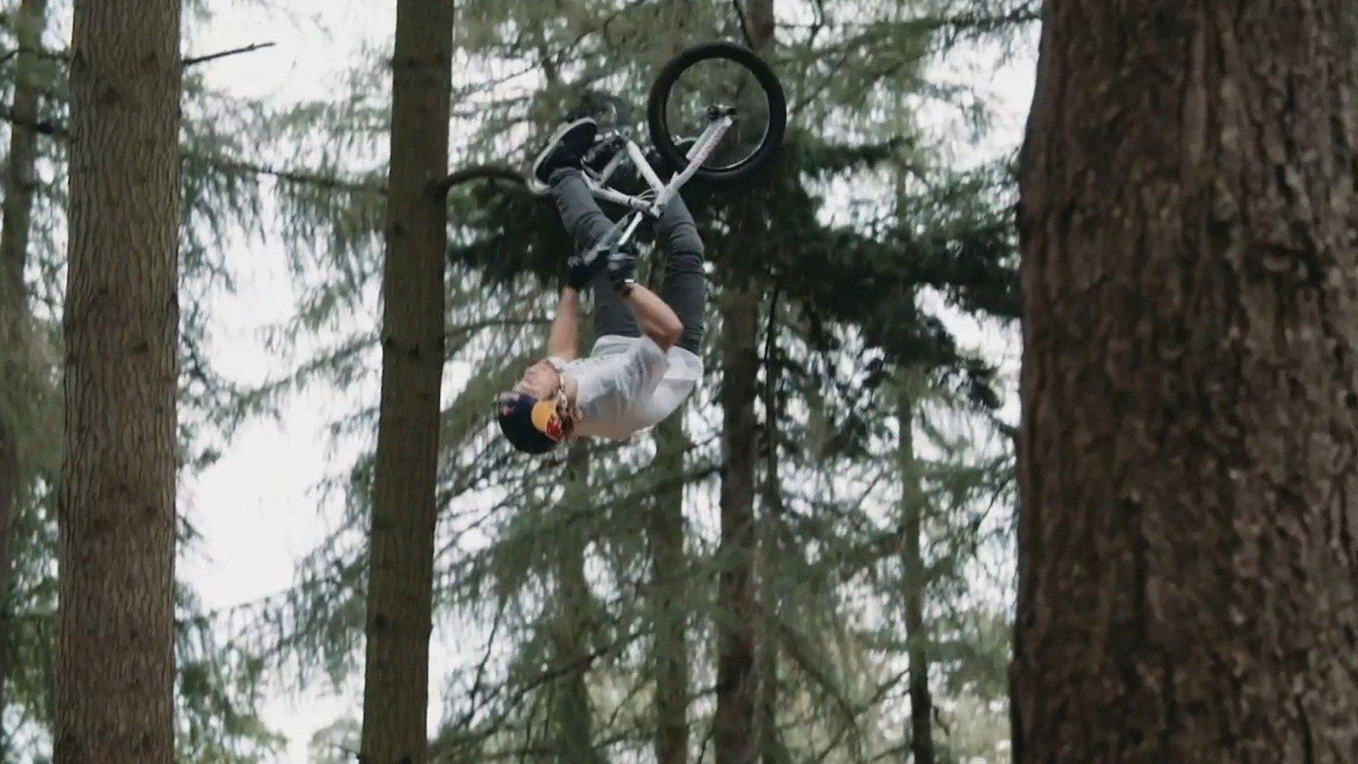 The Xtreme CollXtion: Adventures Beyond Limits