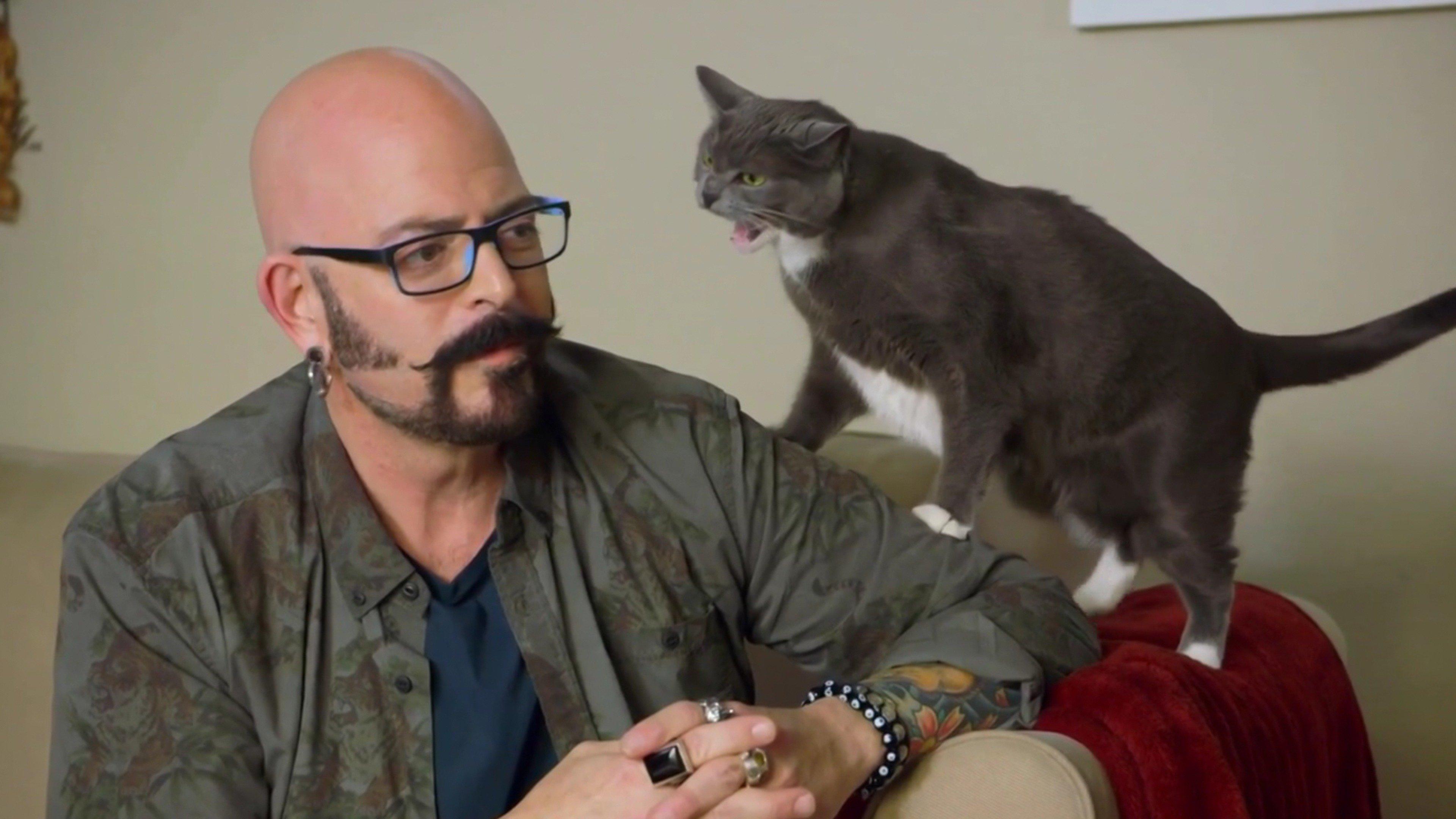 My Cat From Hell: Posey the Terror