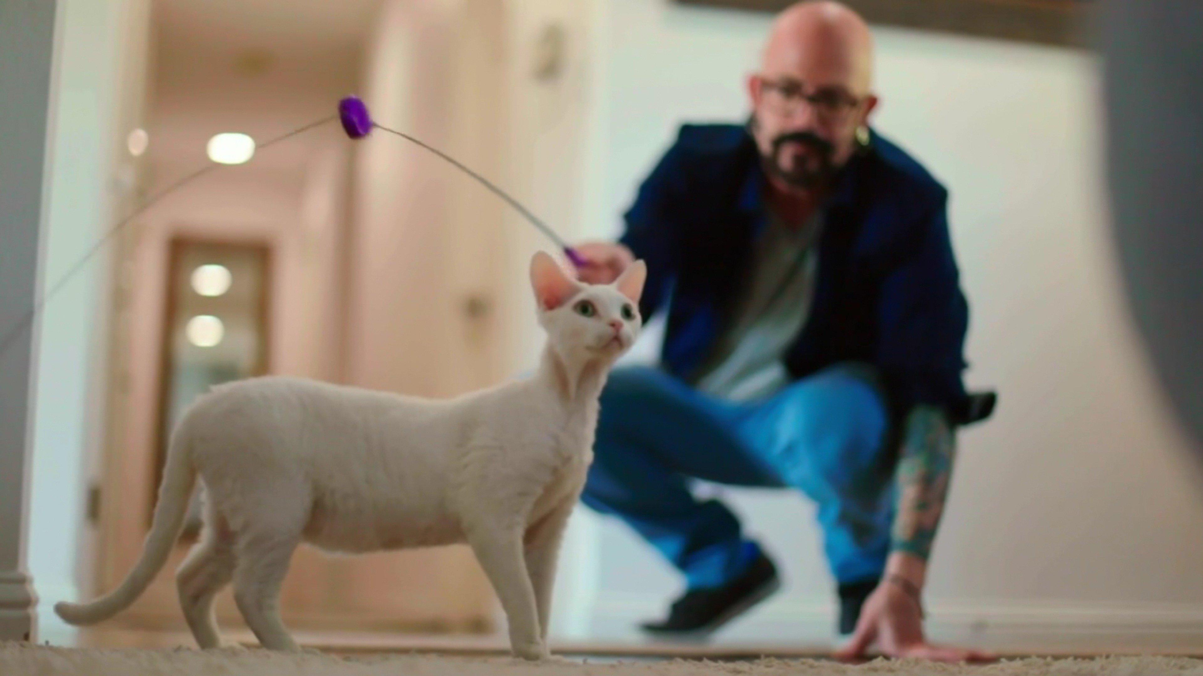 My Cat From Hell: Pee Battle