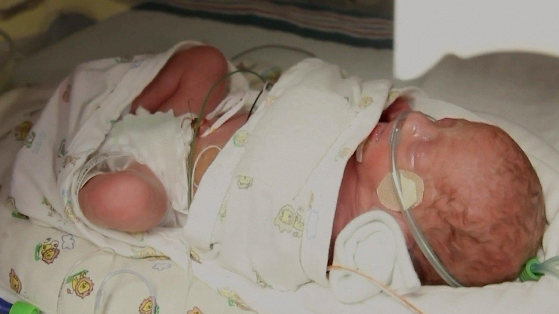 Sweet Home Sextuplets: What to Expect When You're Expecting Six