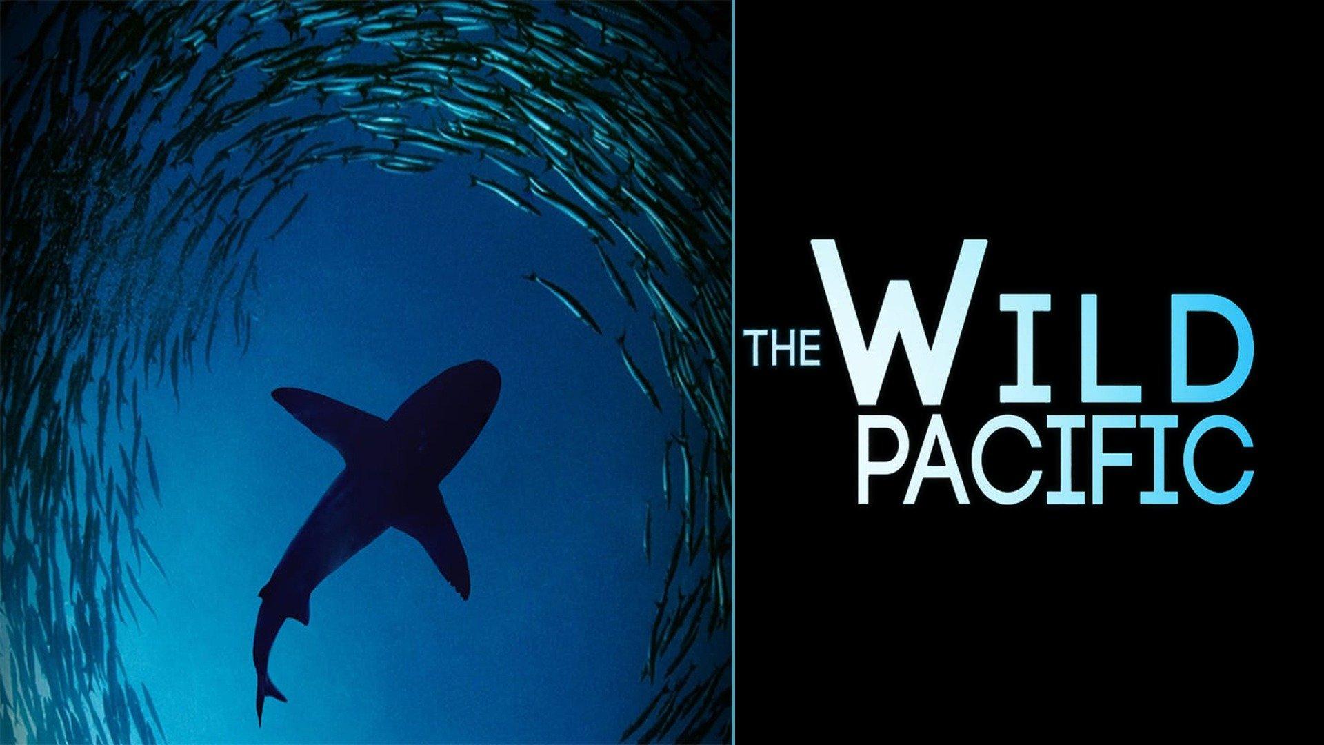 Watch The Wild Pacific Streaming Online on Philo (Free Trial)