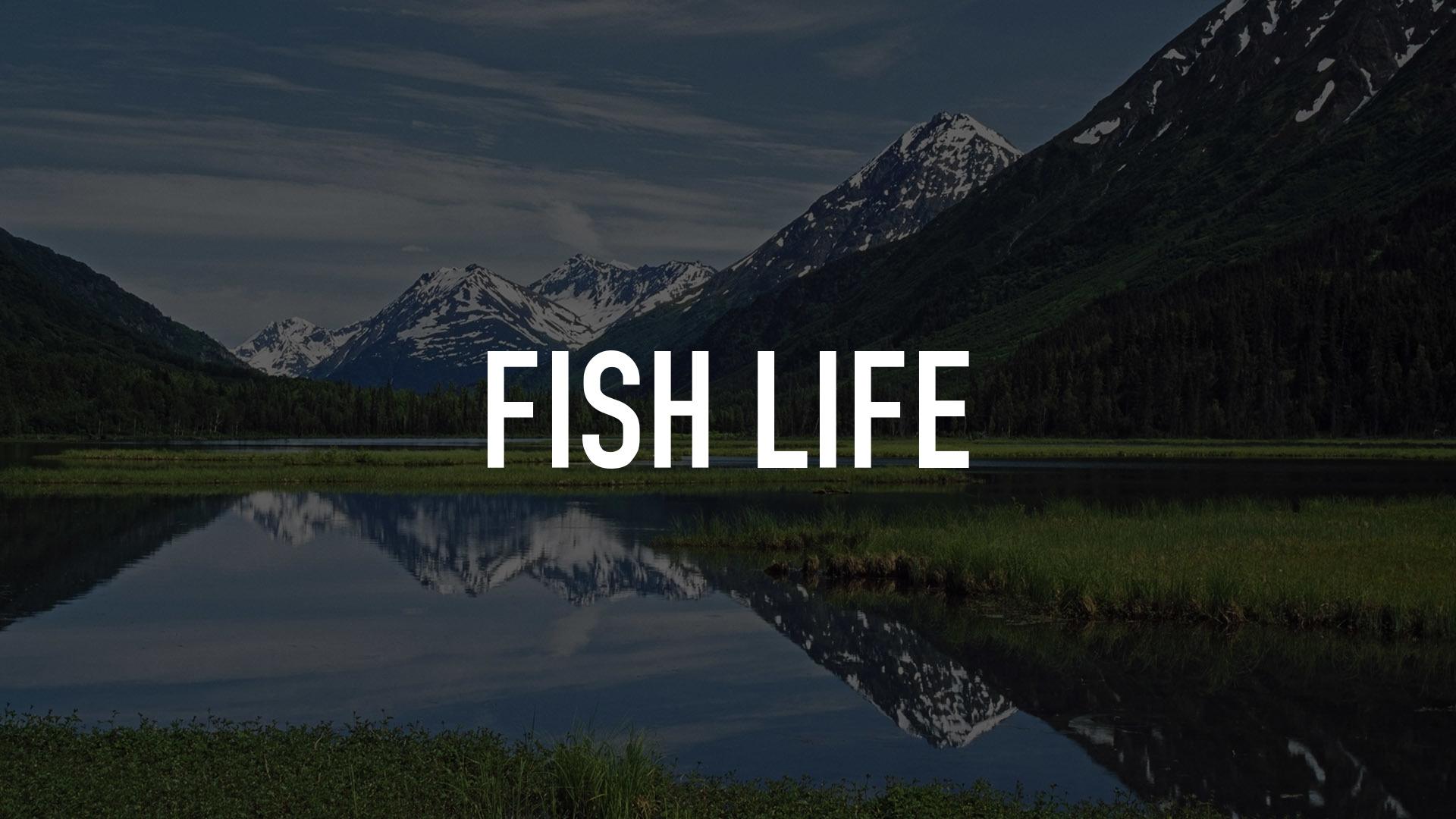 Watch Fish Life Streaming Online on Philo (Free Trial)