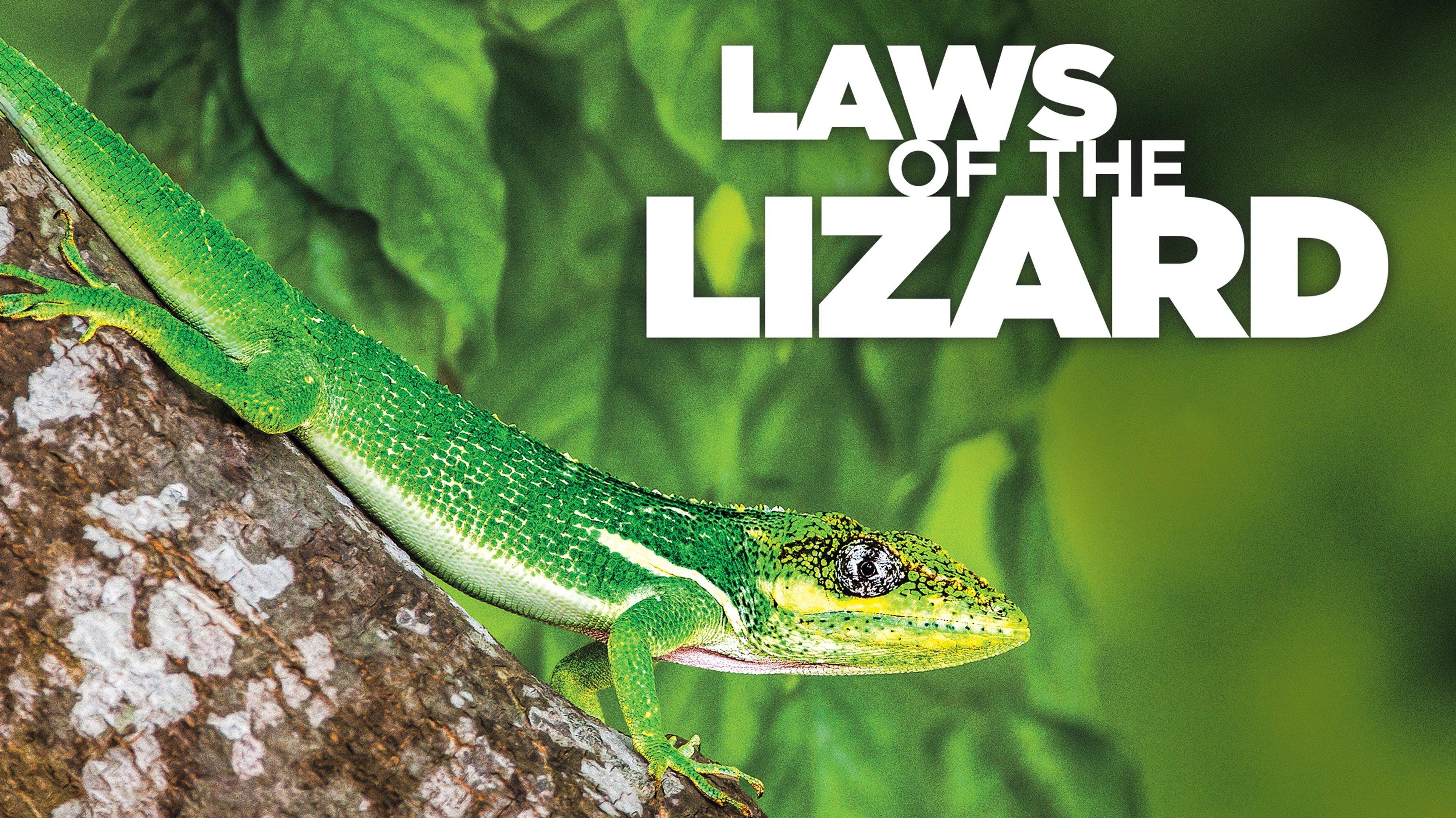 Watch Laws of the Lizard Streaming Online on Philo (Free Trial)