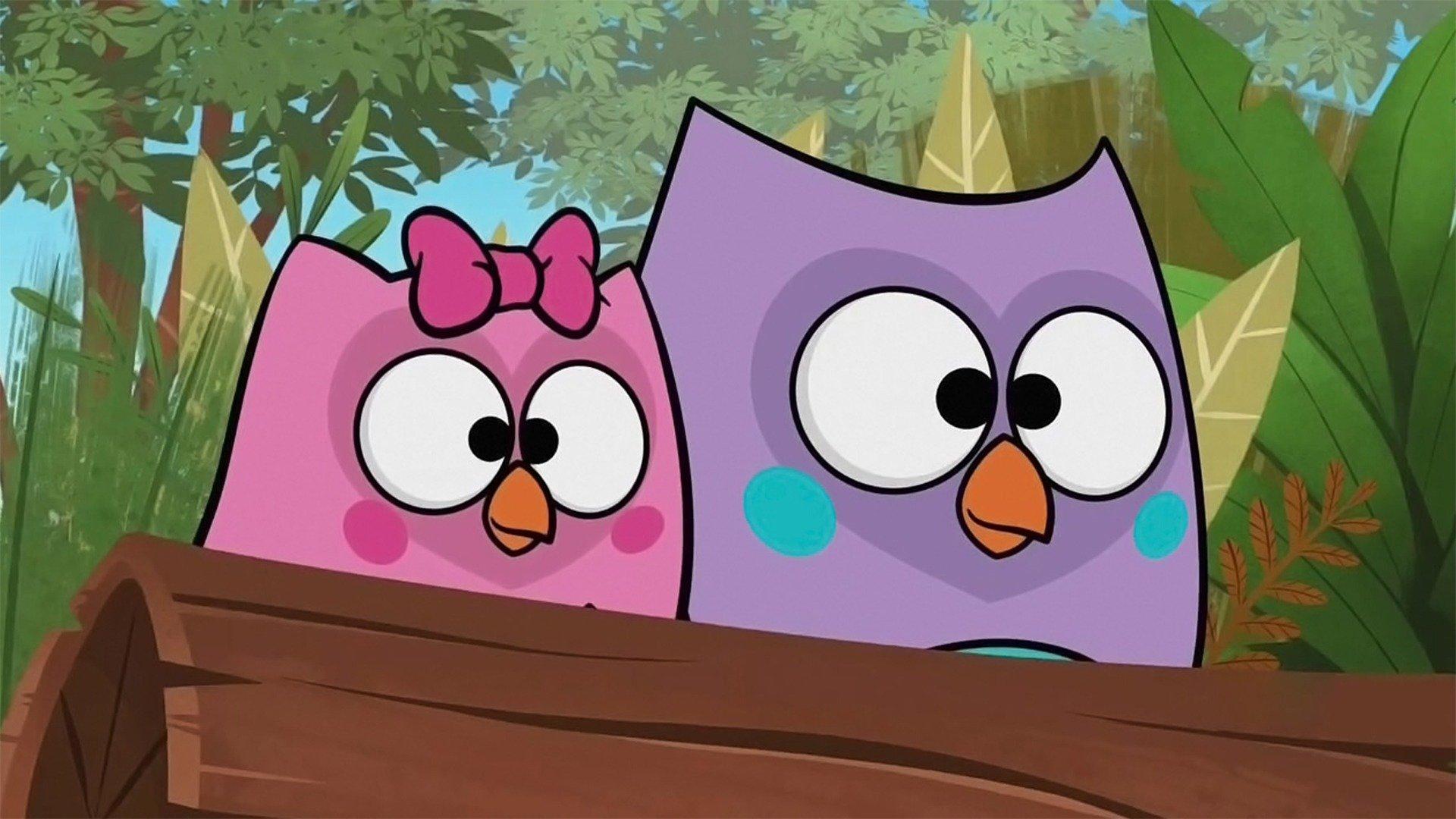 Bubu and the Little Owls: Where Is It?; A Little Striped Friend