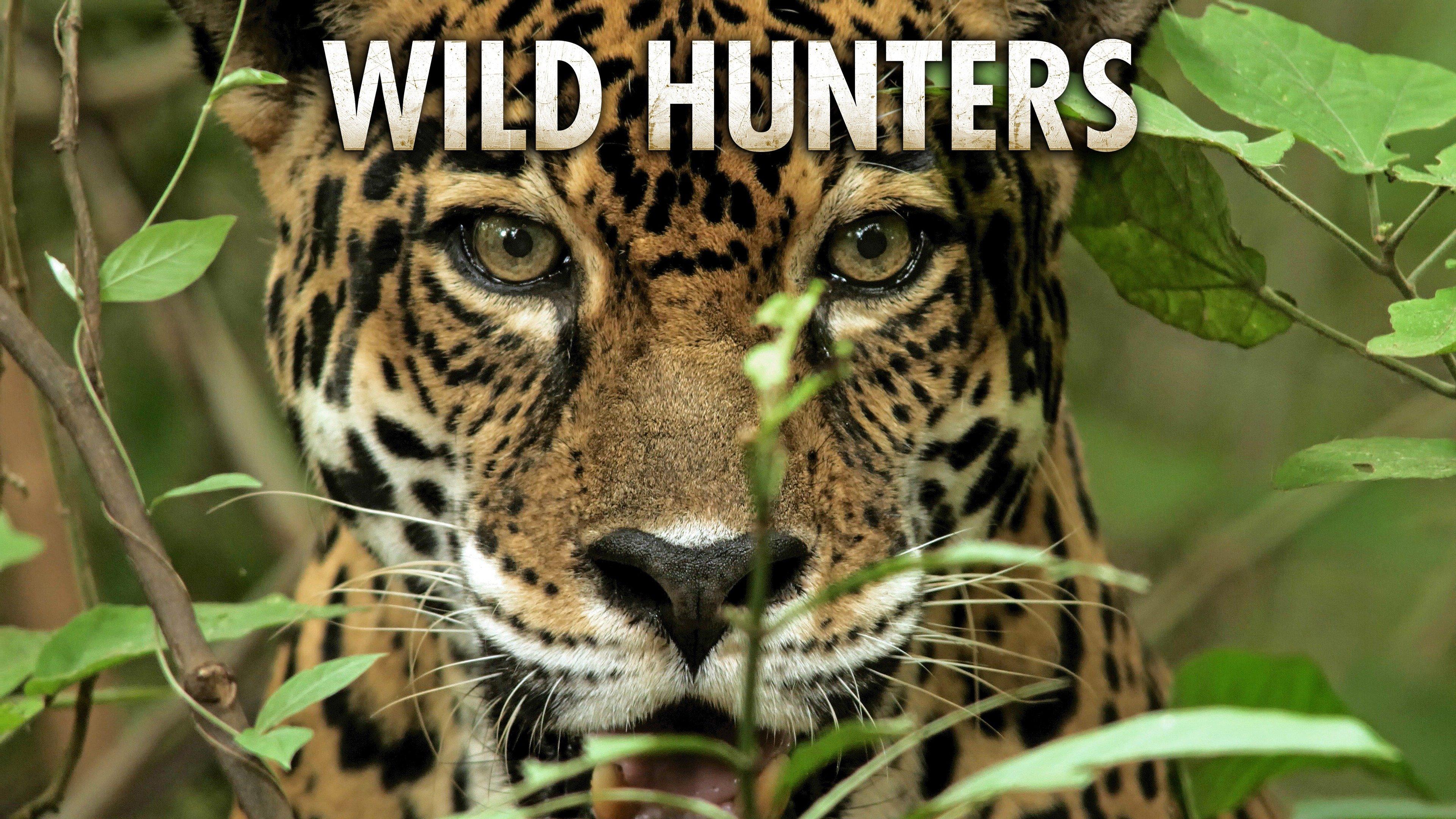 Watch Wild Hunters Streaming Online on Philo for Free