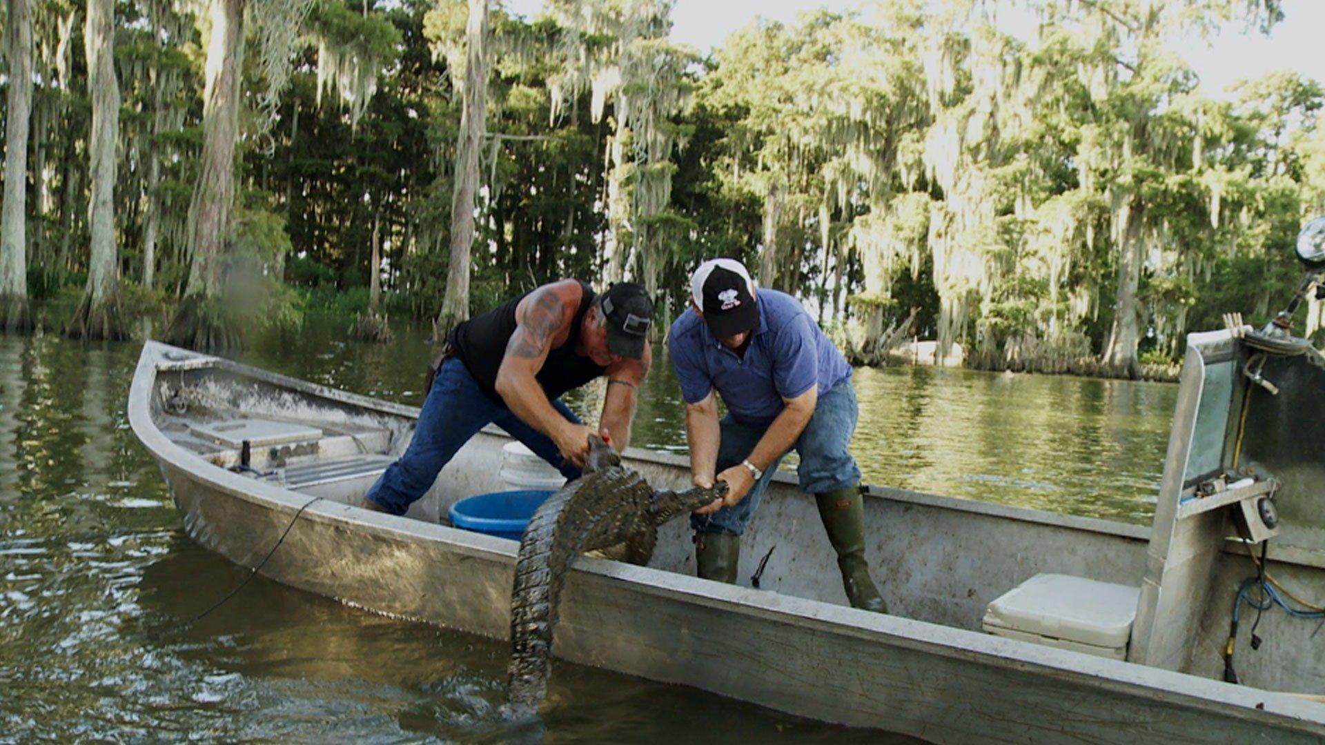 Swamp People: Raising the Stakes