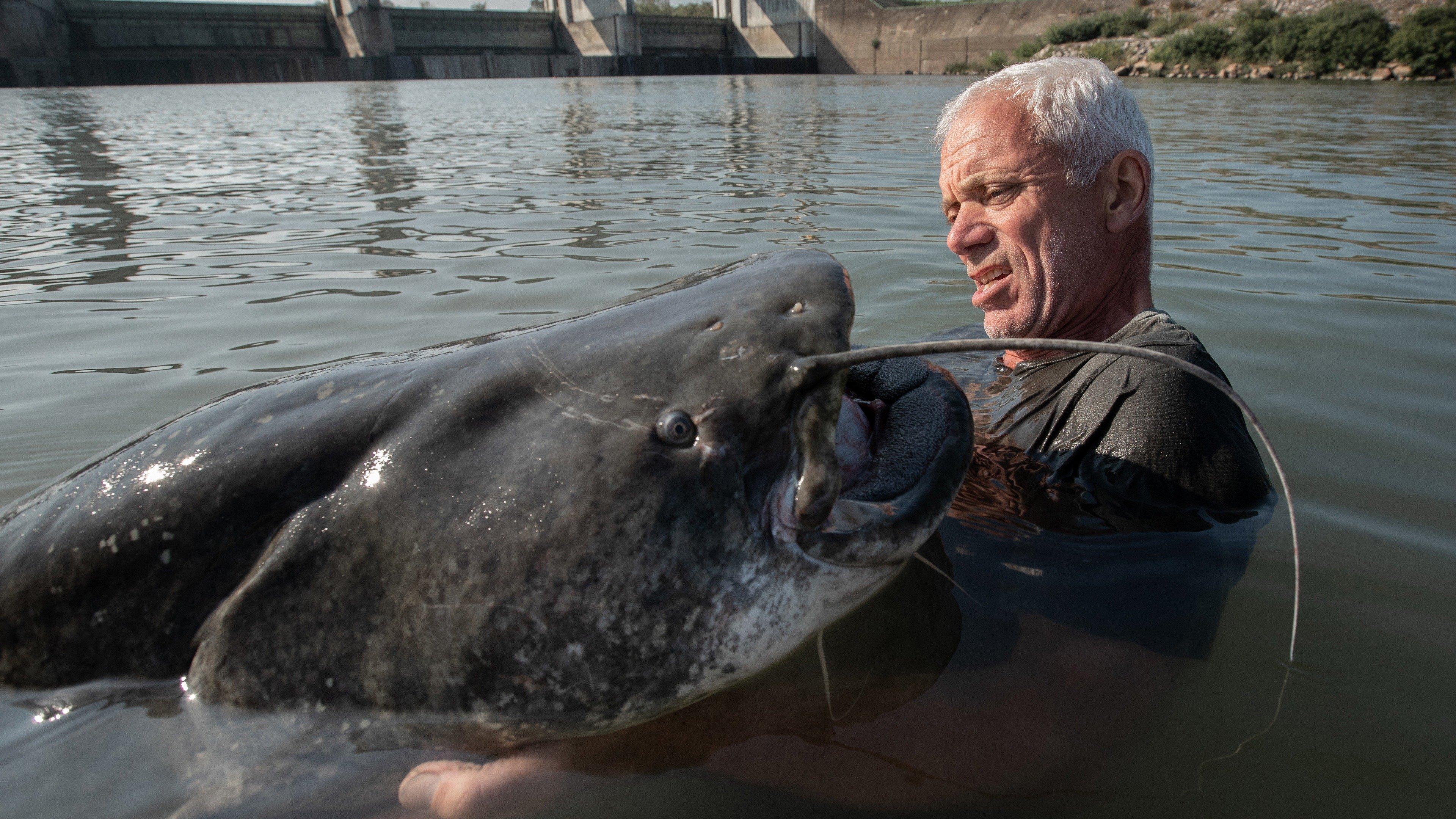 Jeremy Wade's Dark Waters: Cold Water Mystery