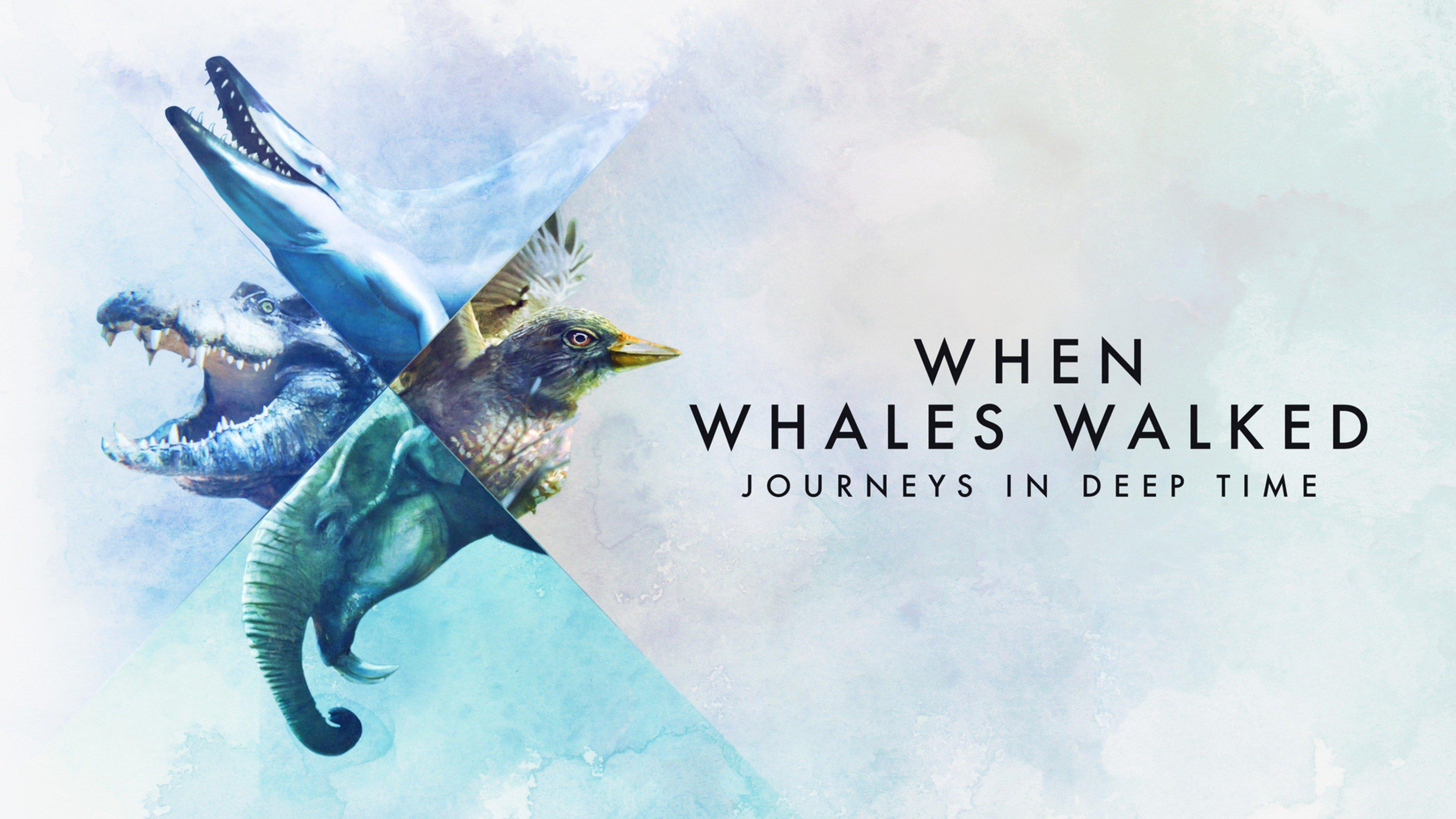 When Whales Walked: Journeys in Deep Time