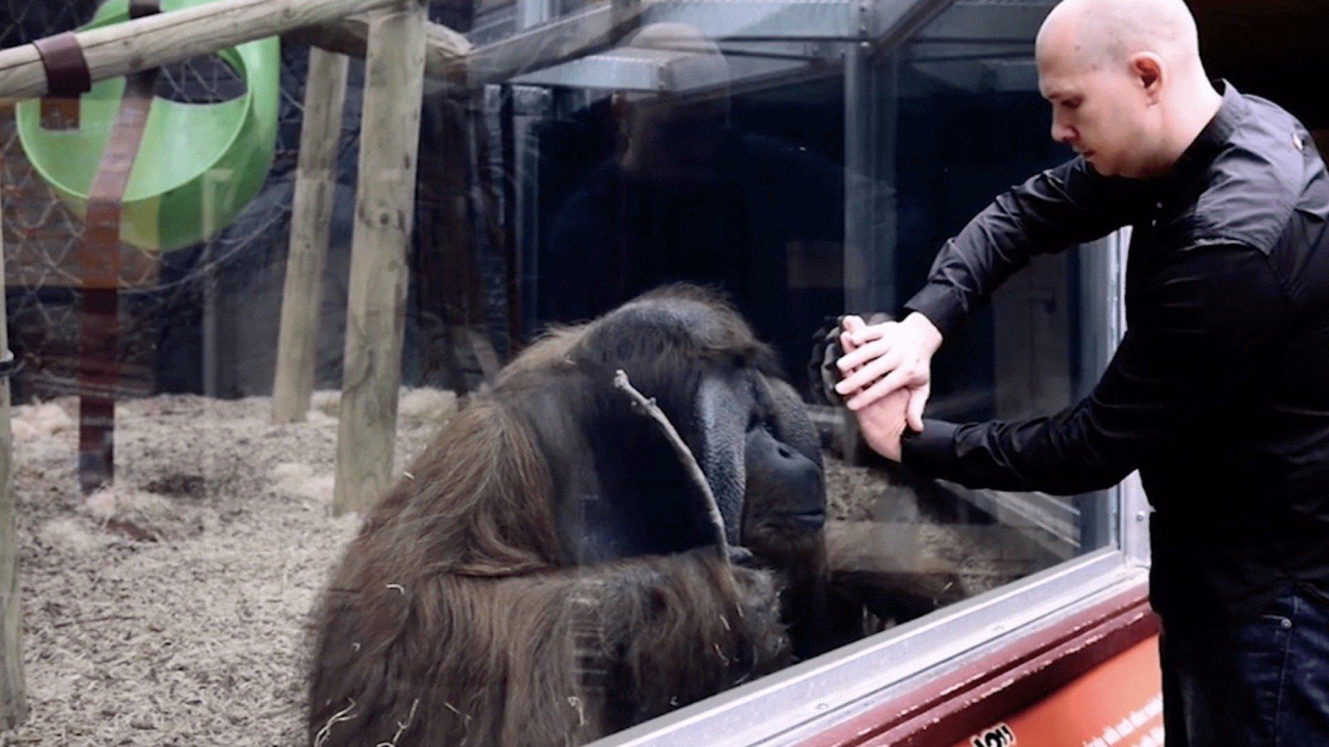 Animals Unscripted: Scavengers