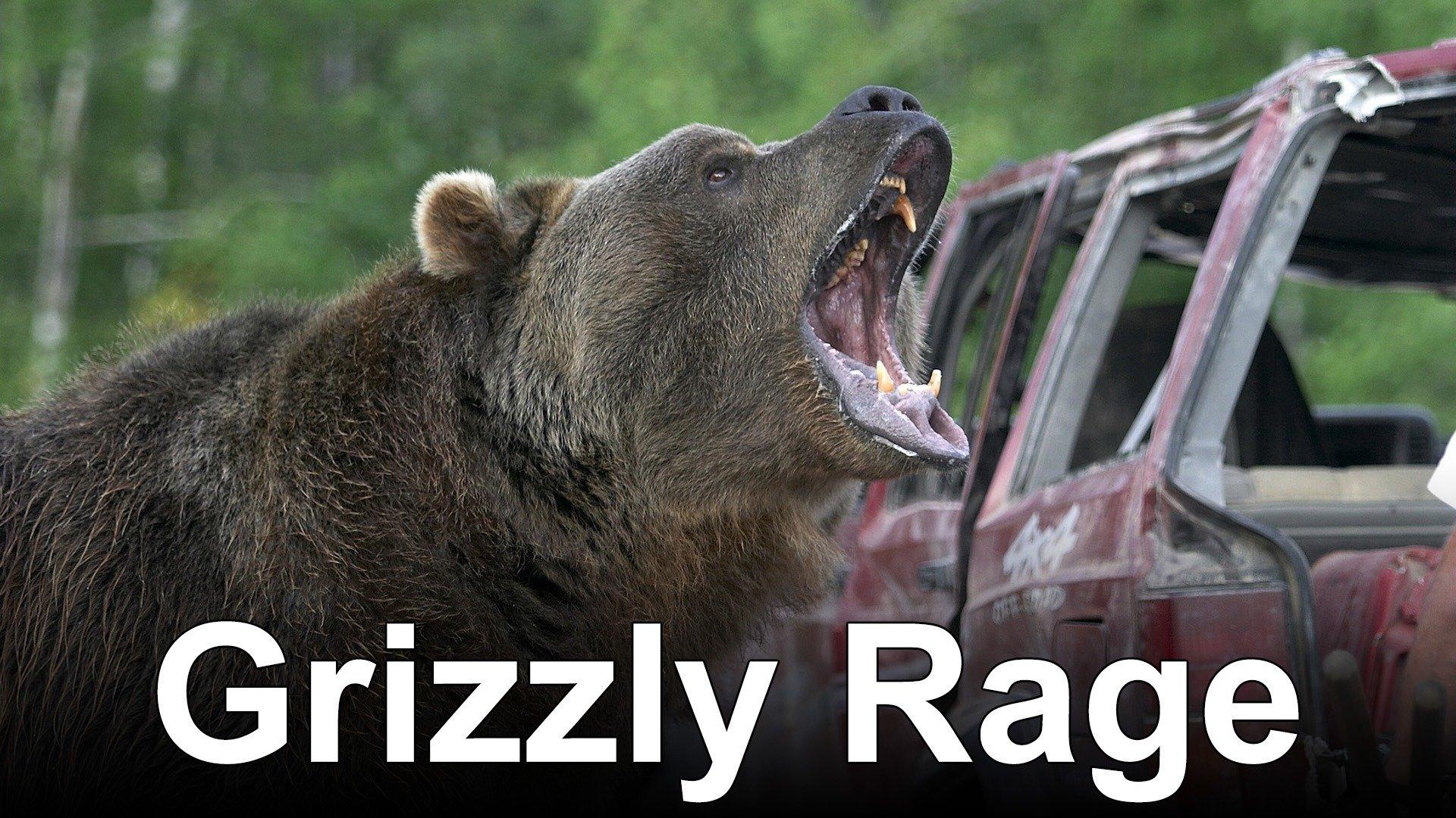 Grizzly Rage