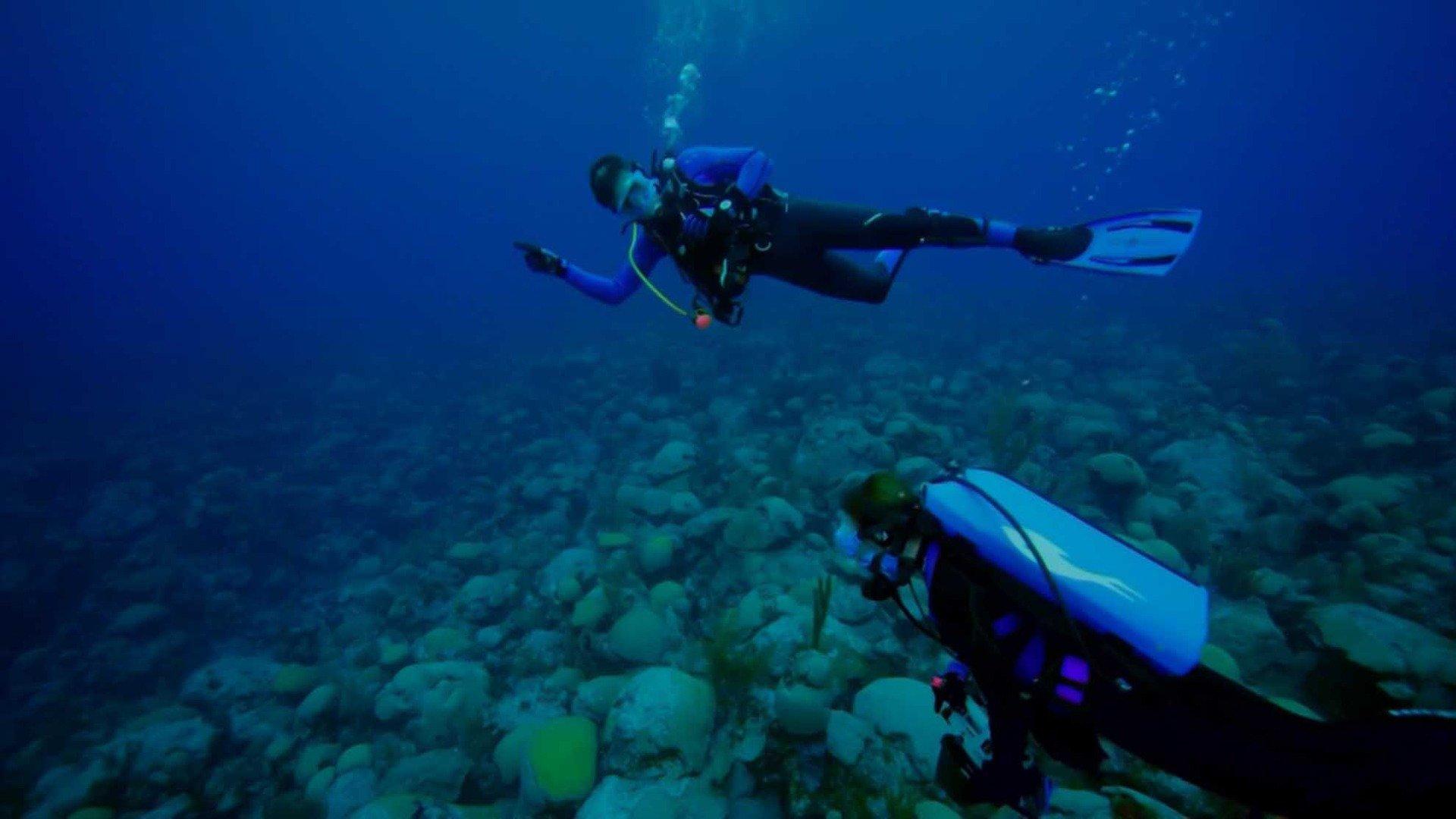 Legends of the Deep: Bermuda Triangle: The Secret Shipwreck