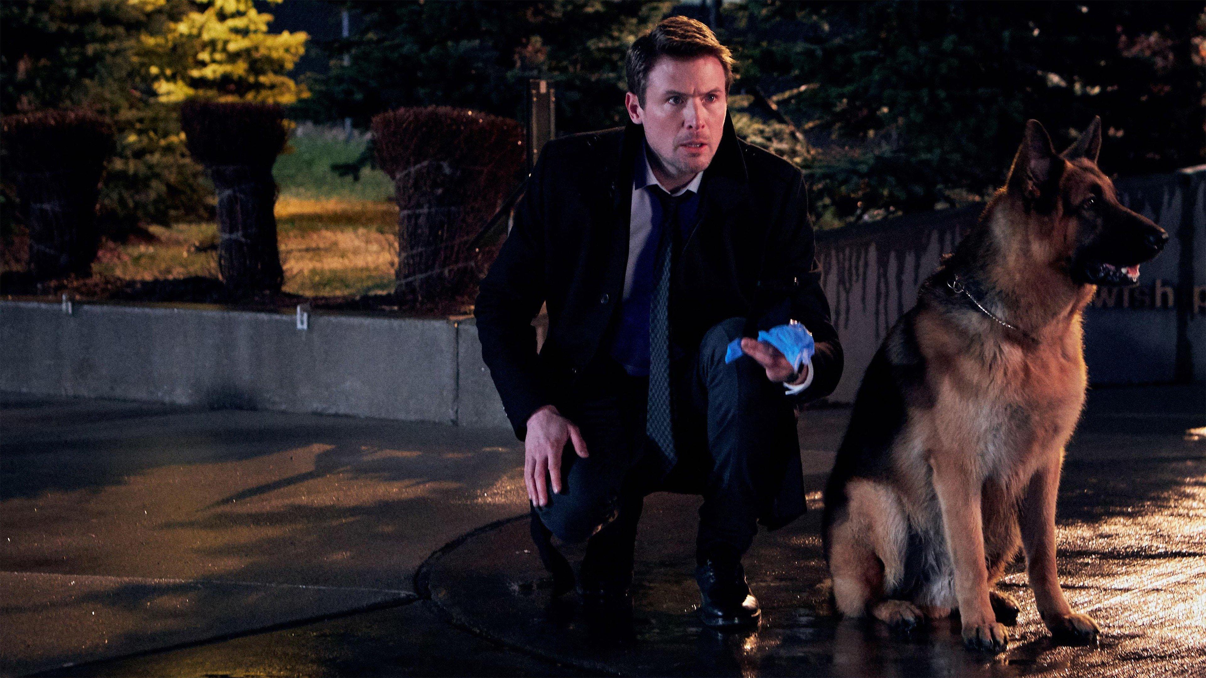 Hudson & Rex: The Rex Files