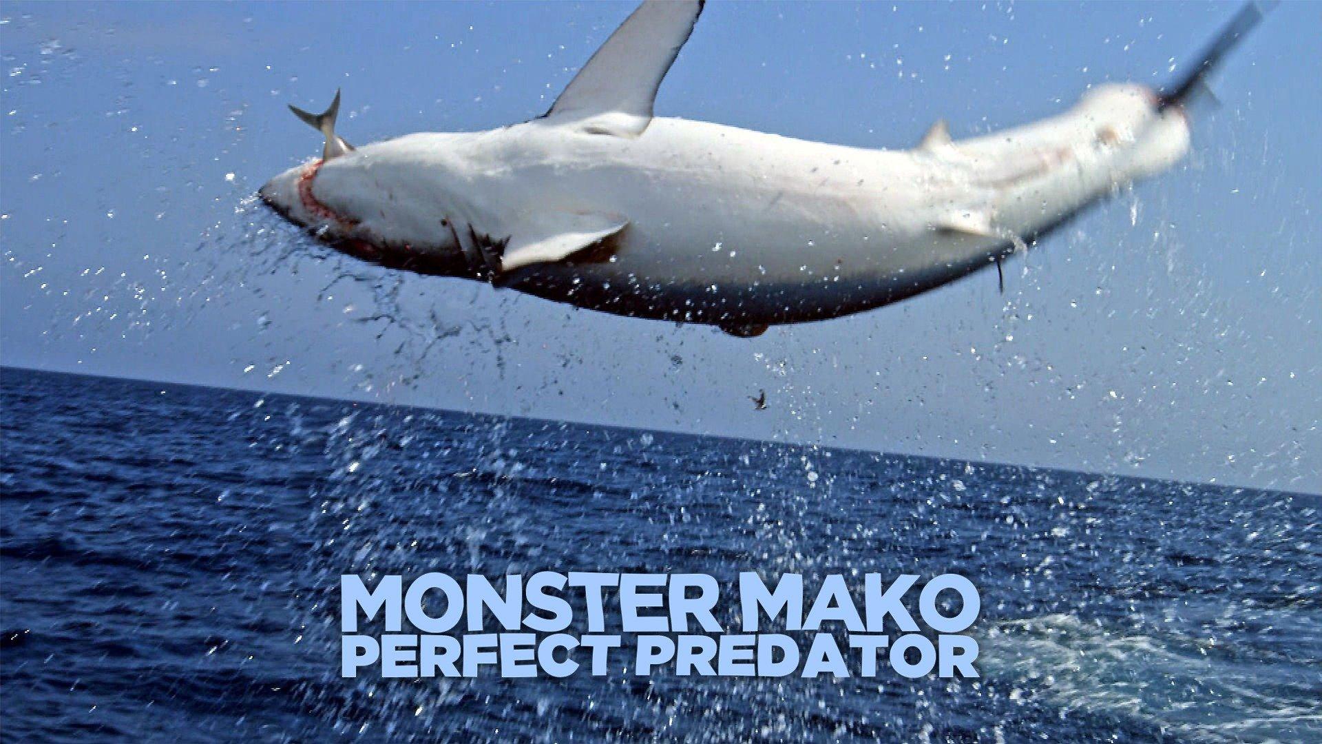 Watch Monster Mako: Perfect Predator Streaming Online on Philo (Free Trial)