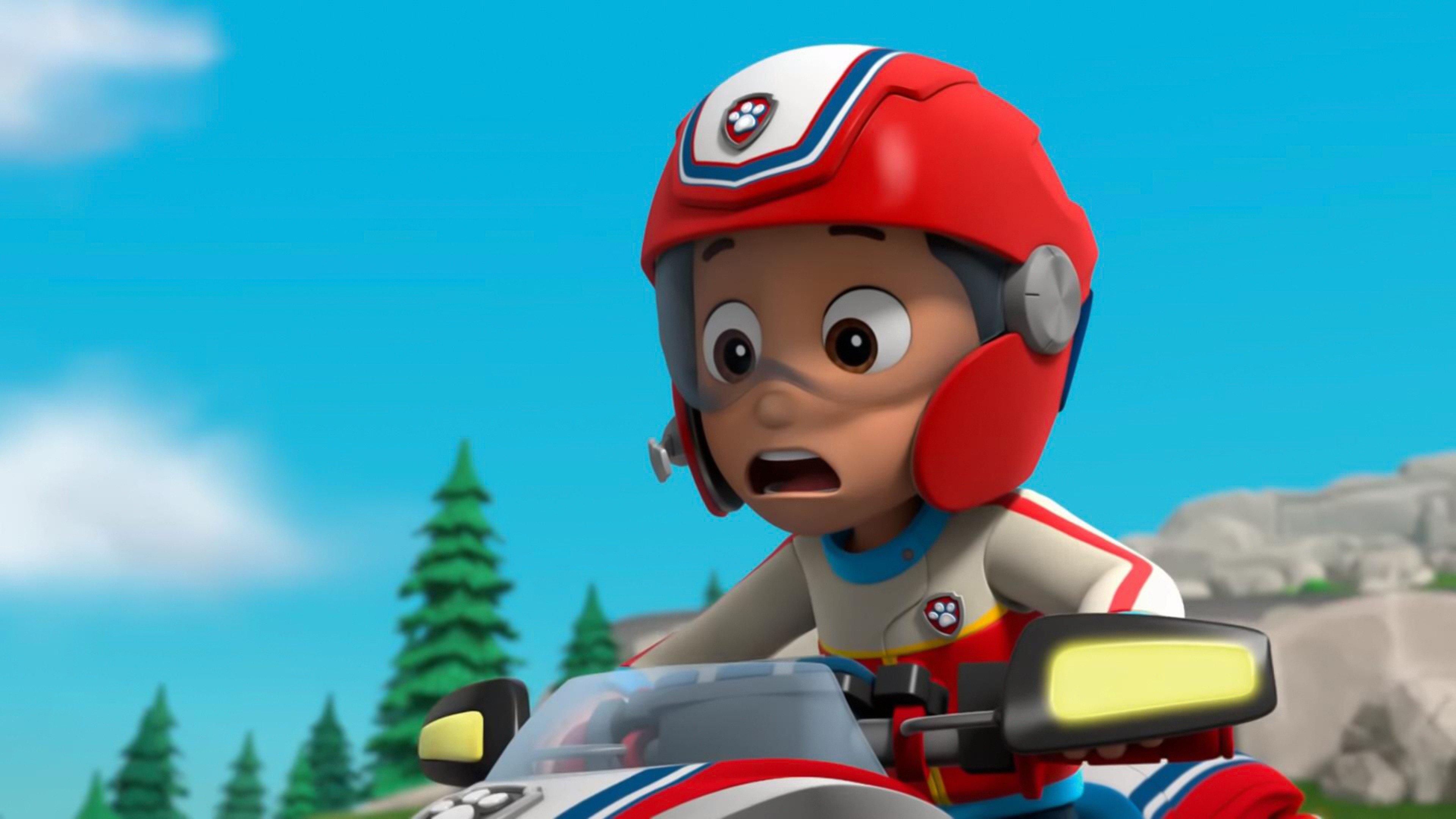 PAW Patrol: Pups Save a Manatee