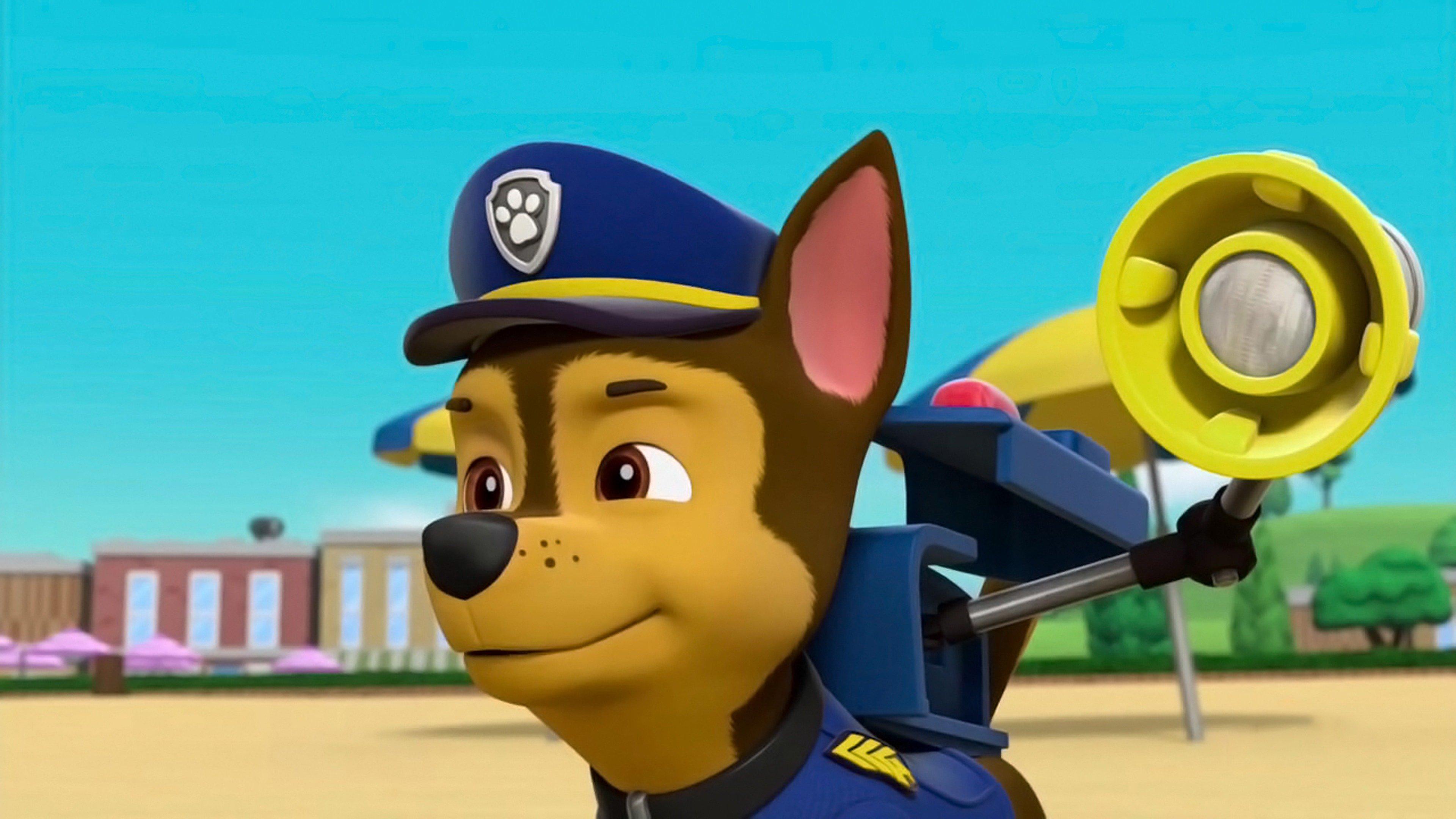 PAW Patrol: Pups Save the Balloon Pups; Pups Save the Spider Spies