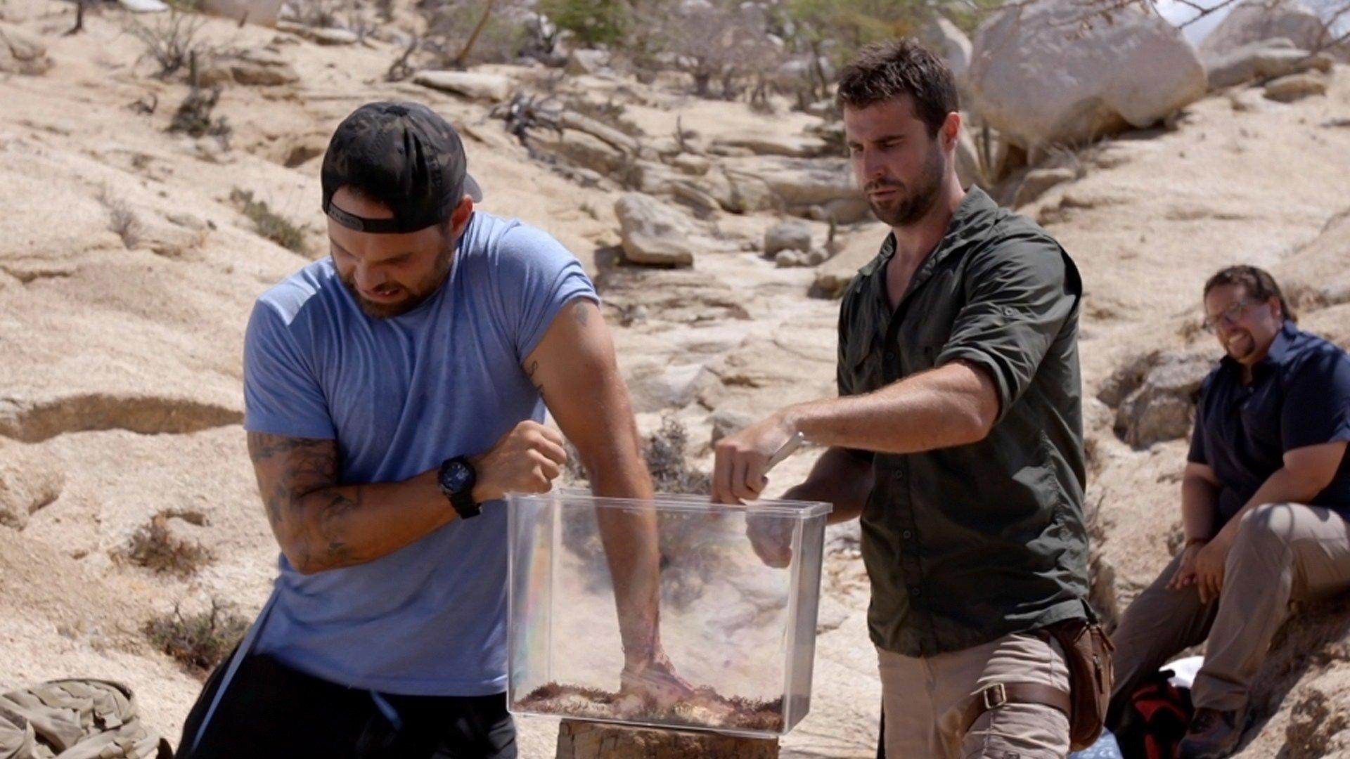 Kings of Pain: Fairy of Death