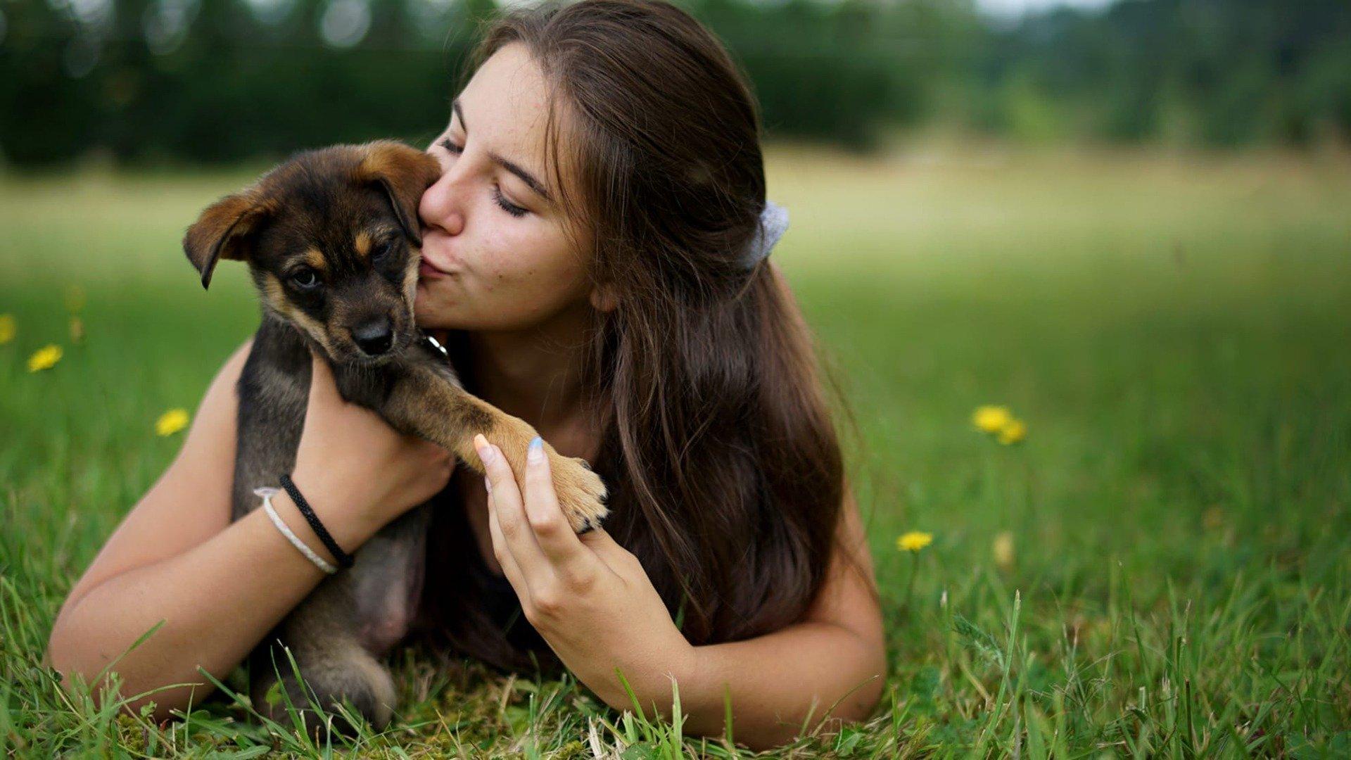 Amanda to the Rescue: It's Raining Cats!