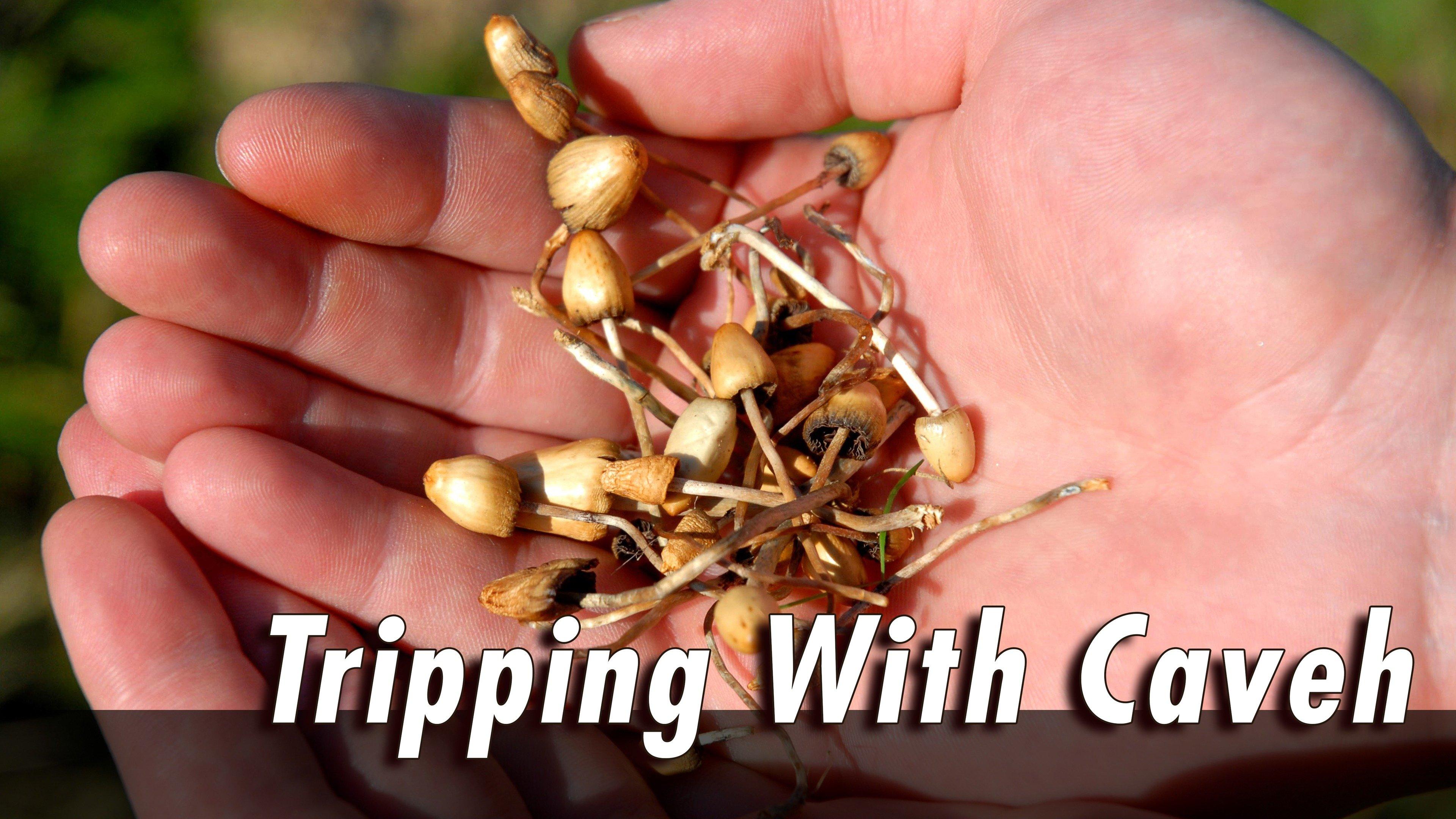 Watch Tripping With Caveh Streaming Online on Philo (Free Trial)