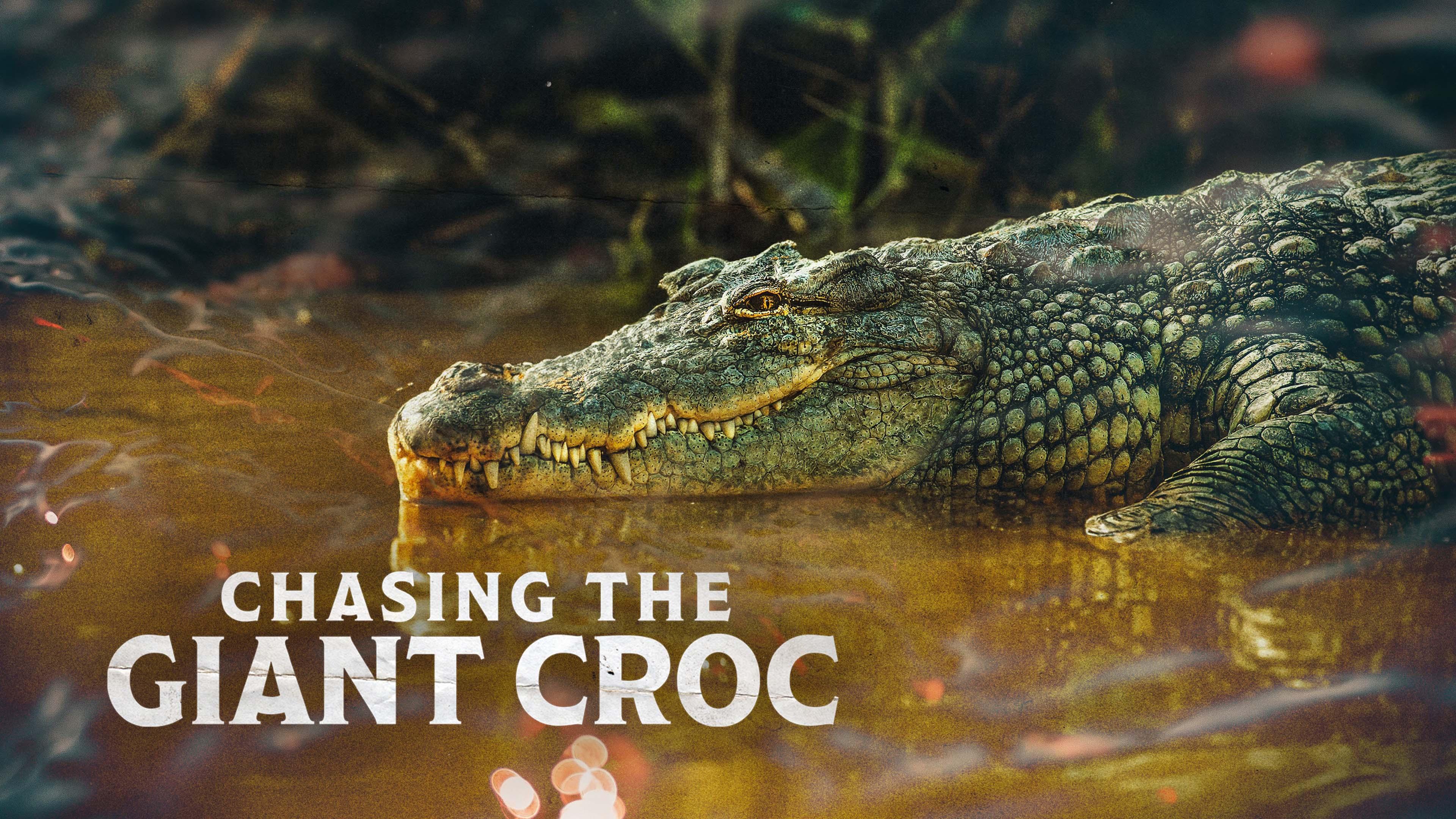 Watch Chasing the Giant Croc Streaming Online on Philo (Free Trial)