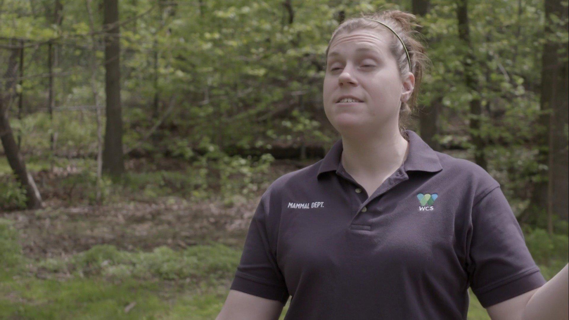 The Zoo: Tiger's Day at the Dentist