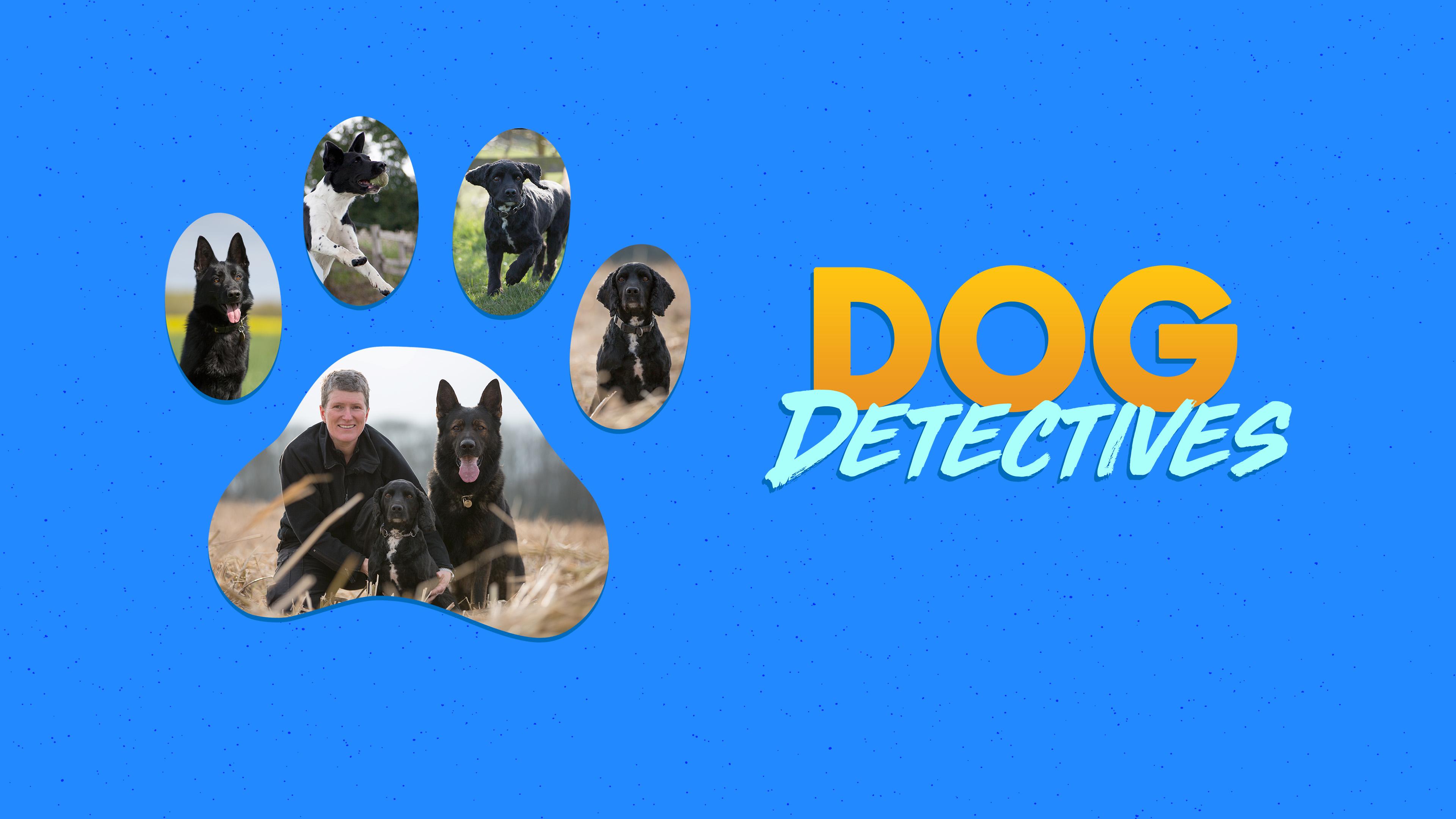 Watch Dog Detectives Streaming Online on Philo (Free Trial)