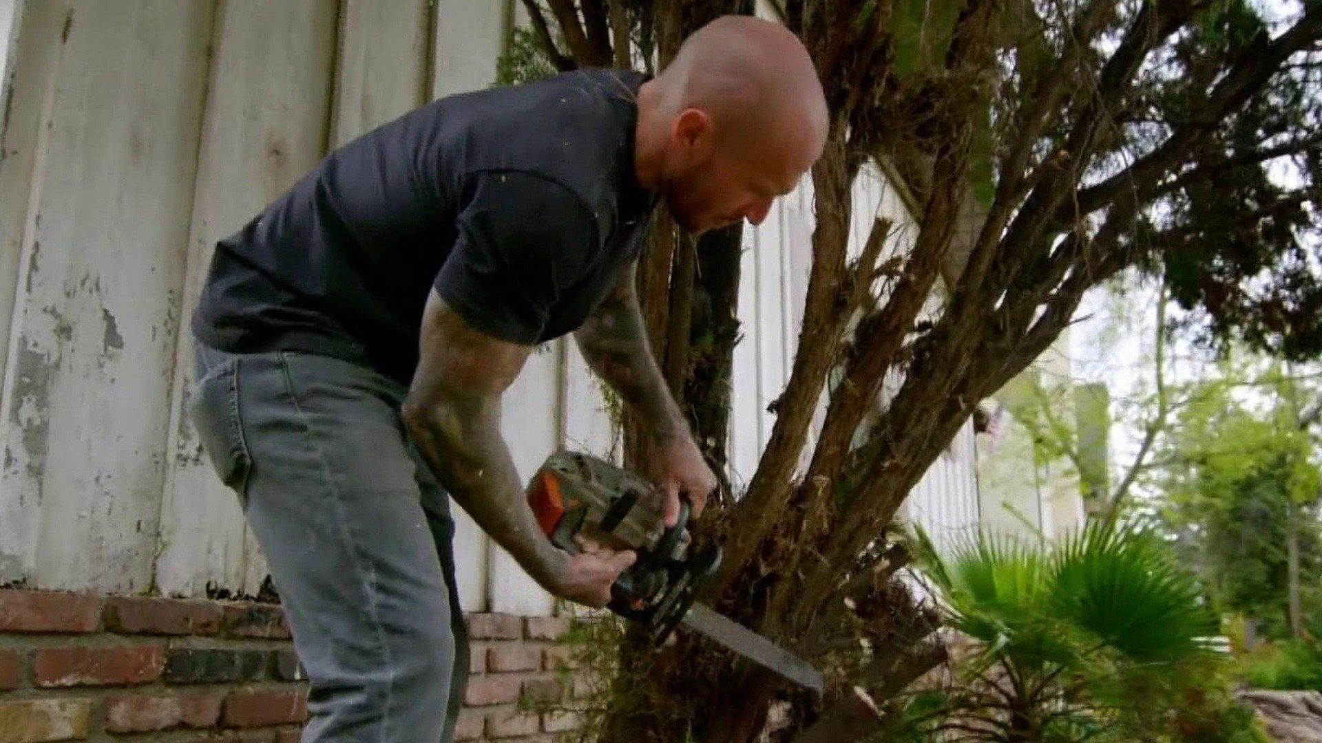 Inside Out: Flecking Awesome