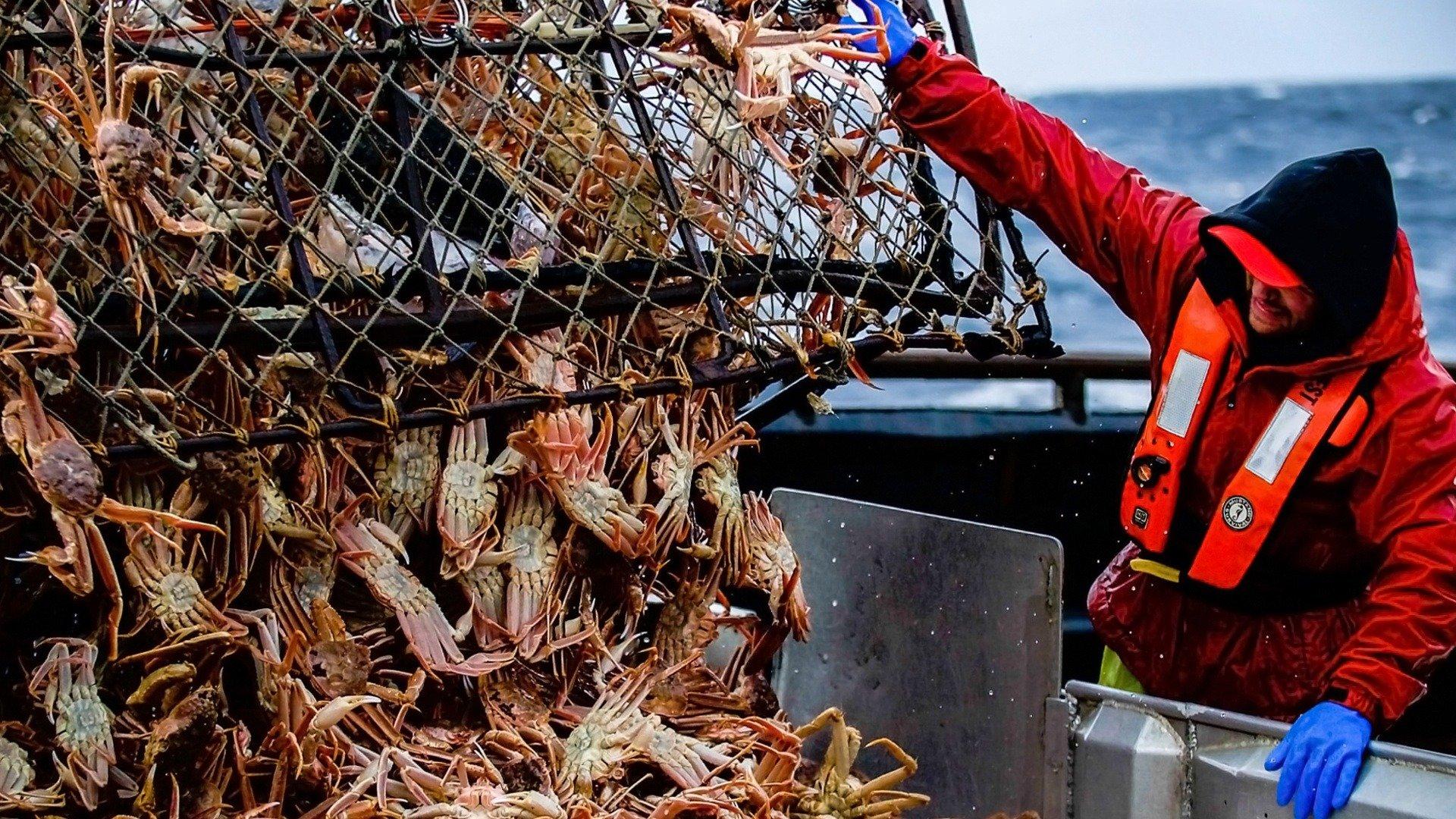 Deadliest Catch: Dutch Harbor Double Cross