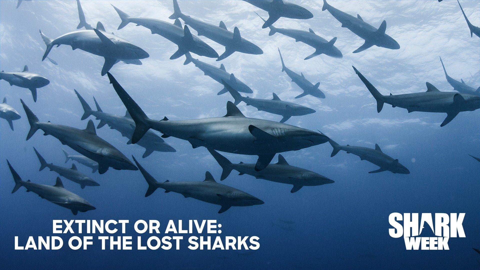 Watch Extinct or Alive: Land of the Lost Sharks Streaming Online on ...